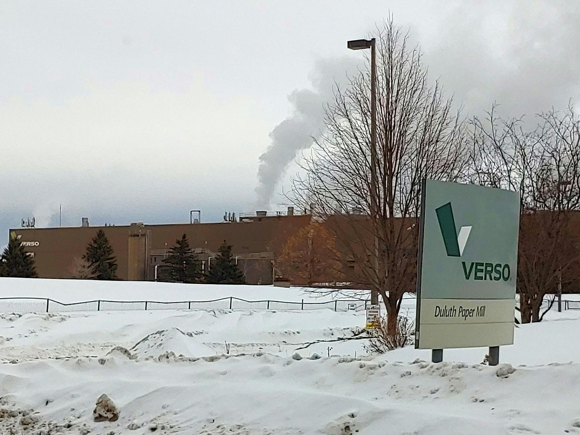 Trees that once fed Duluth paper mill could become tinder for wildfires