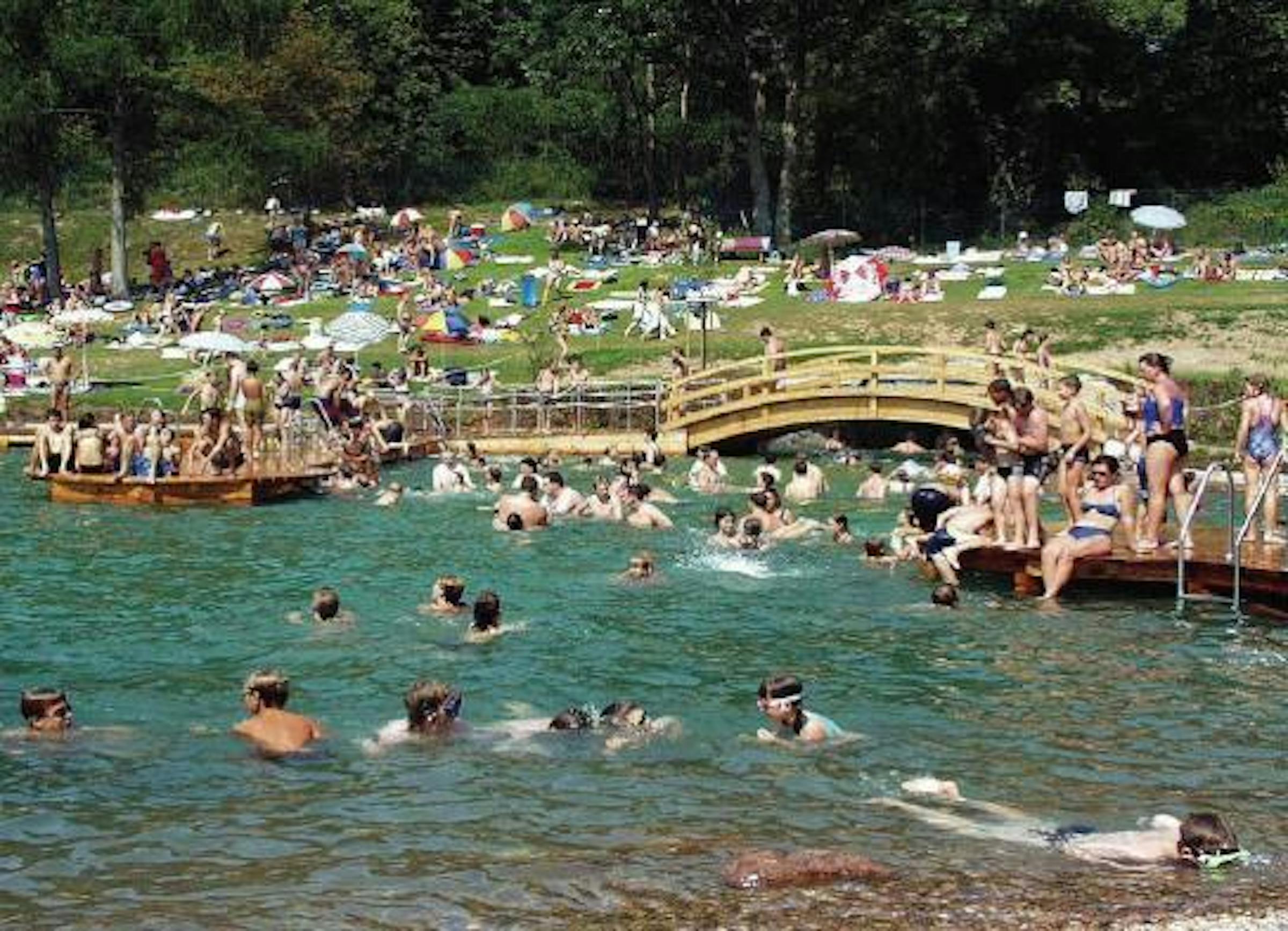 Could Webber Park be the site of first public natural swimming pool in ...
