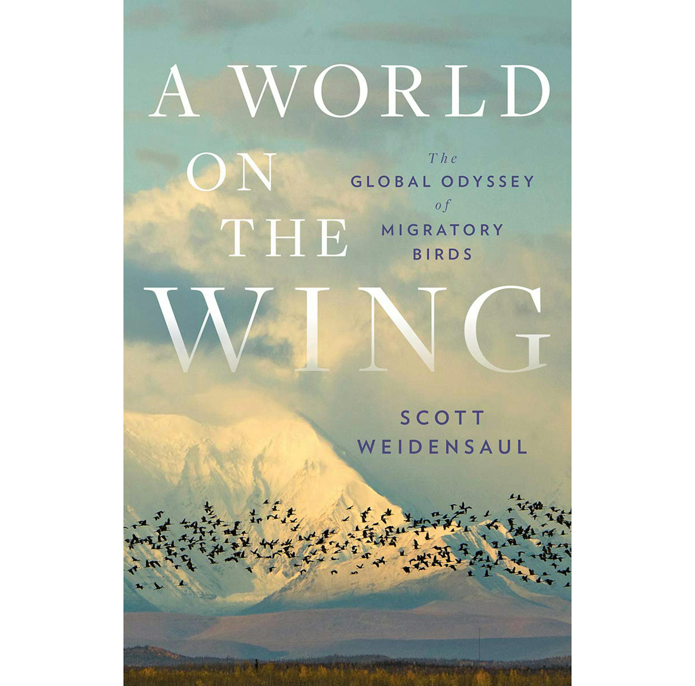 Books to help you explore bird migration, and Minnesota's natural heritage