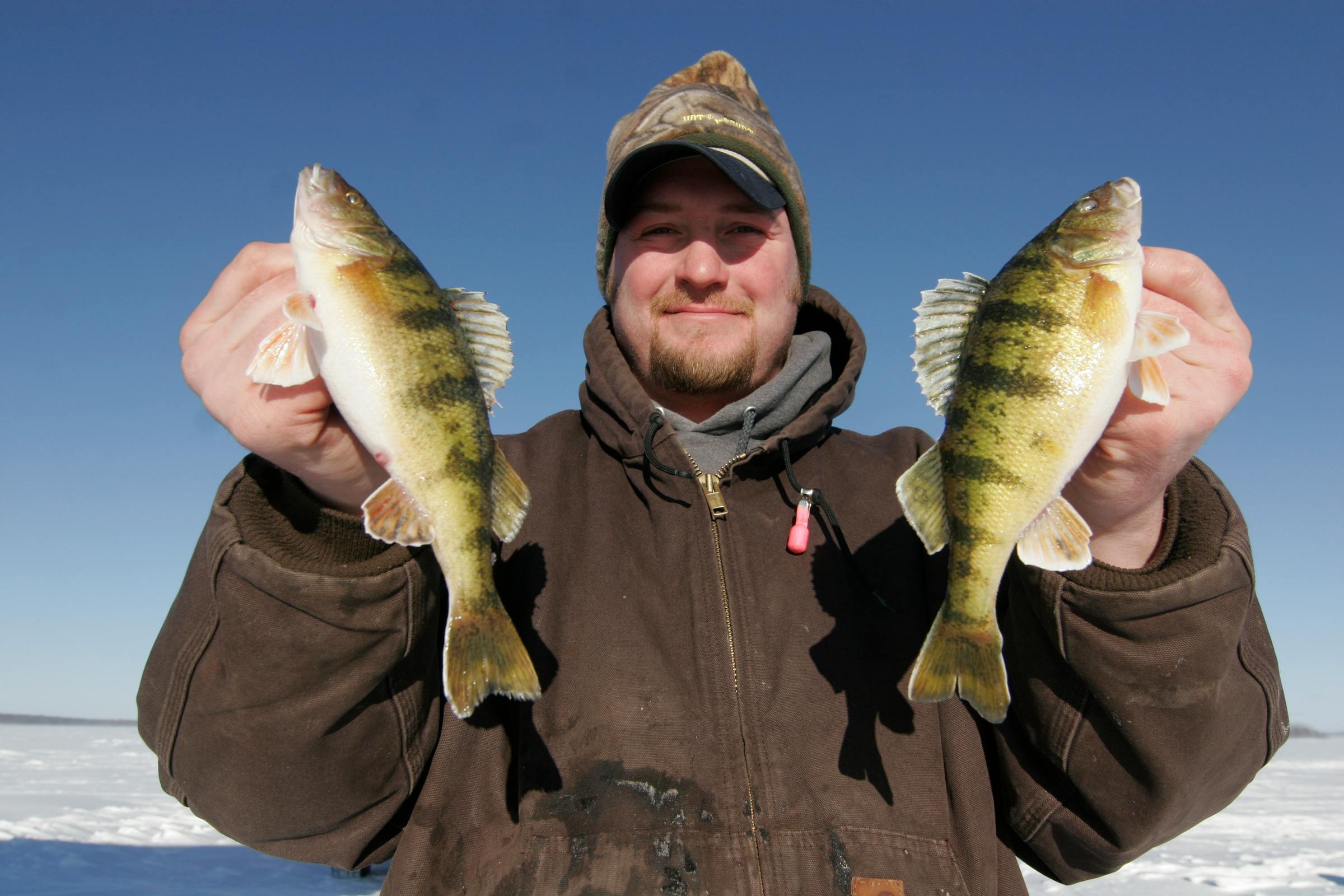 Minnesota DNR reduces perch bag limit on Mille Lacs