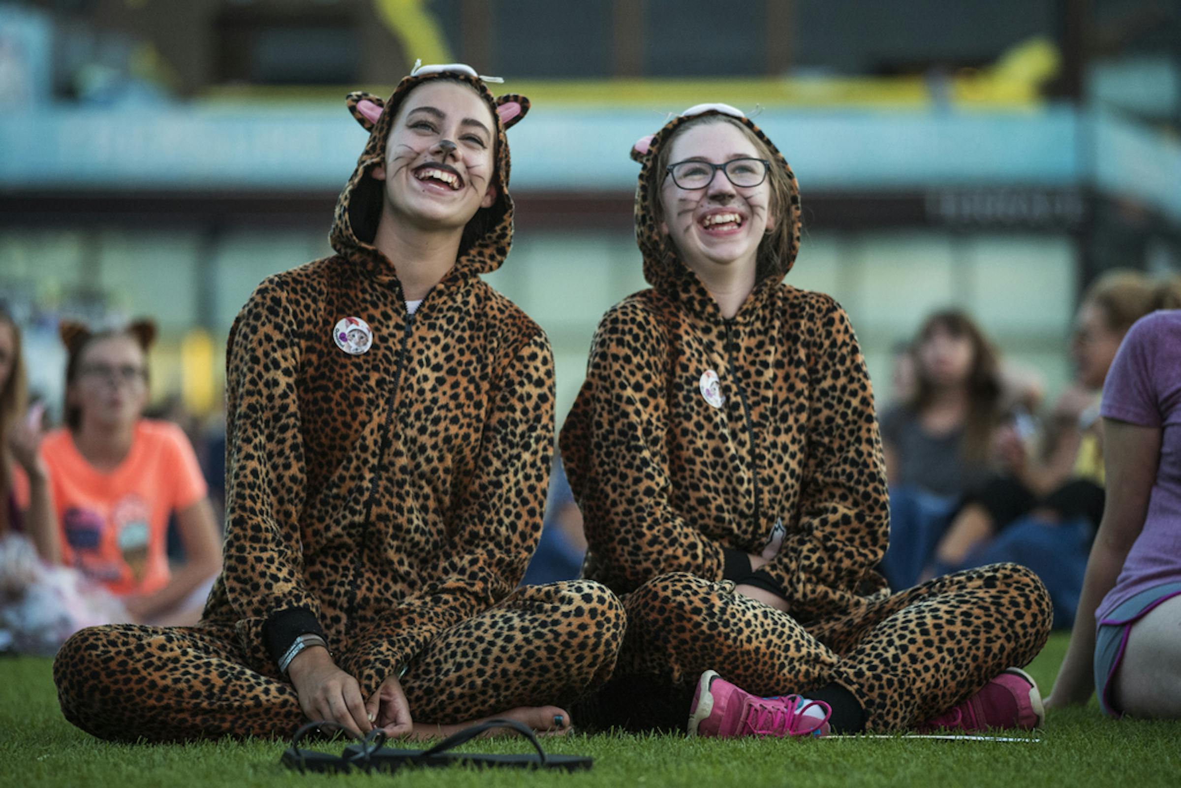 Cats take the spotlight in Minneapolis art festival