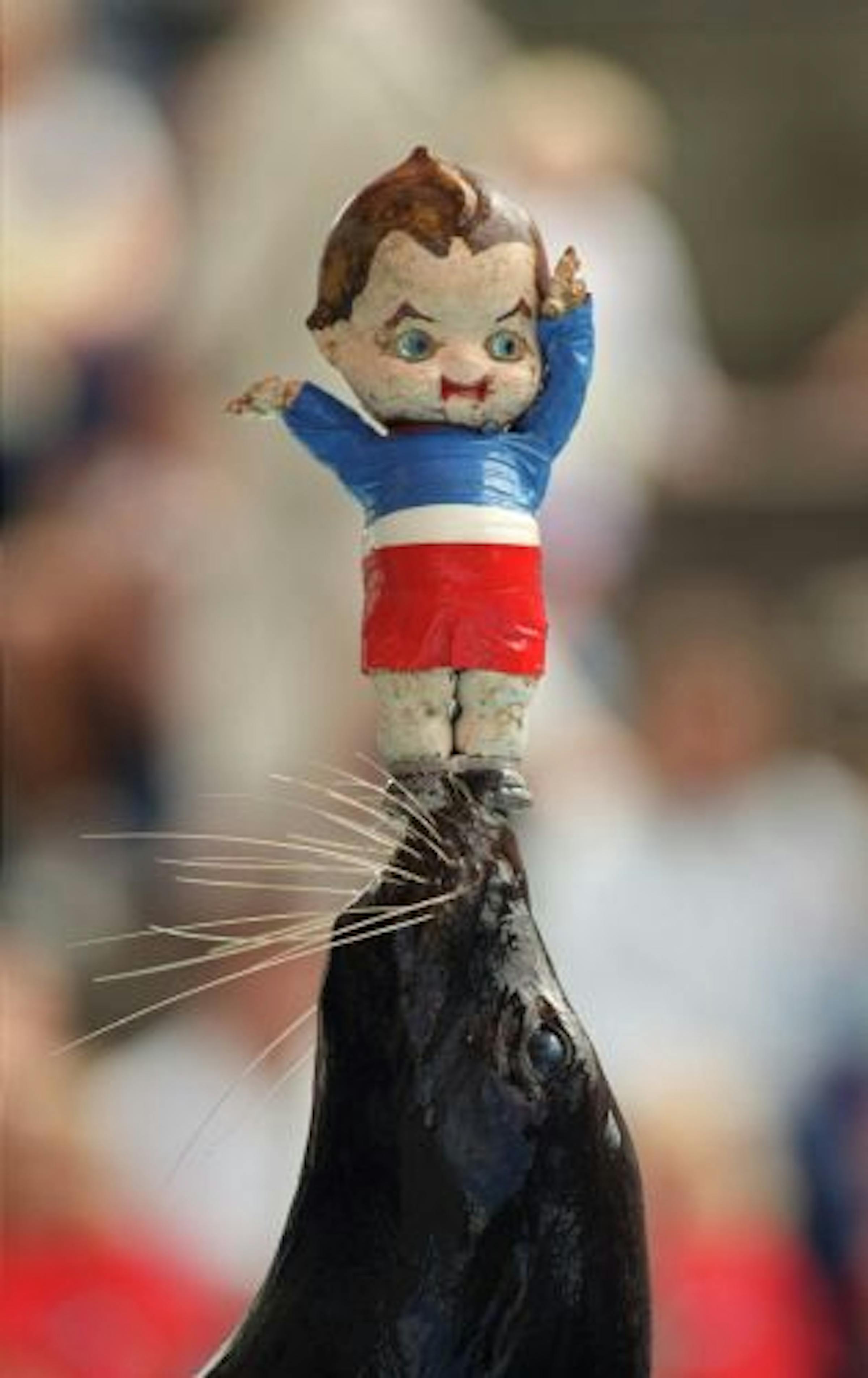 Como Zoo's fifth Sparky the sea lion dies at 31