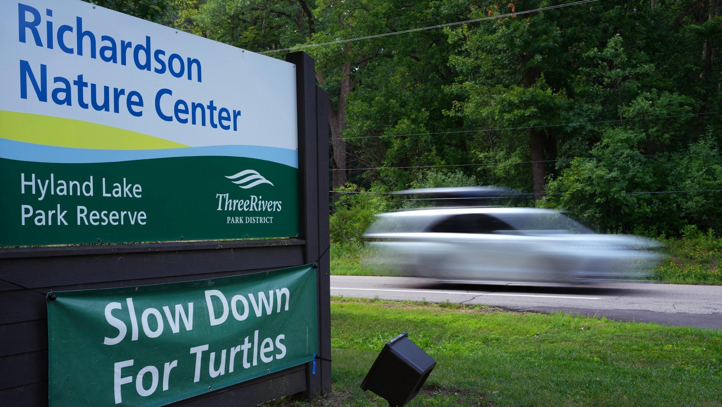 Bloomington seeks $300K for fence to keep turtles from wandering onto ...