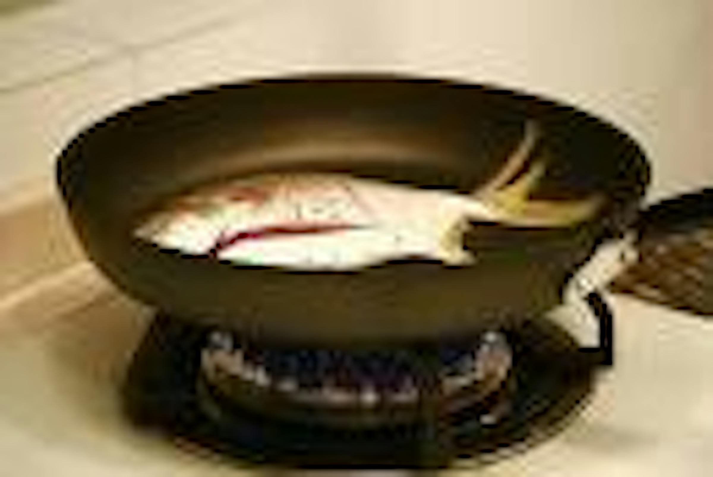 3 days after frying fish, the smell is gone. Your deodorizing tips?
