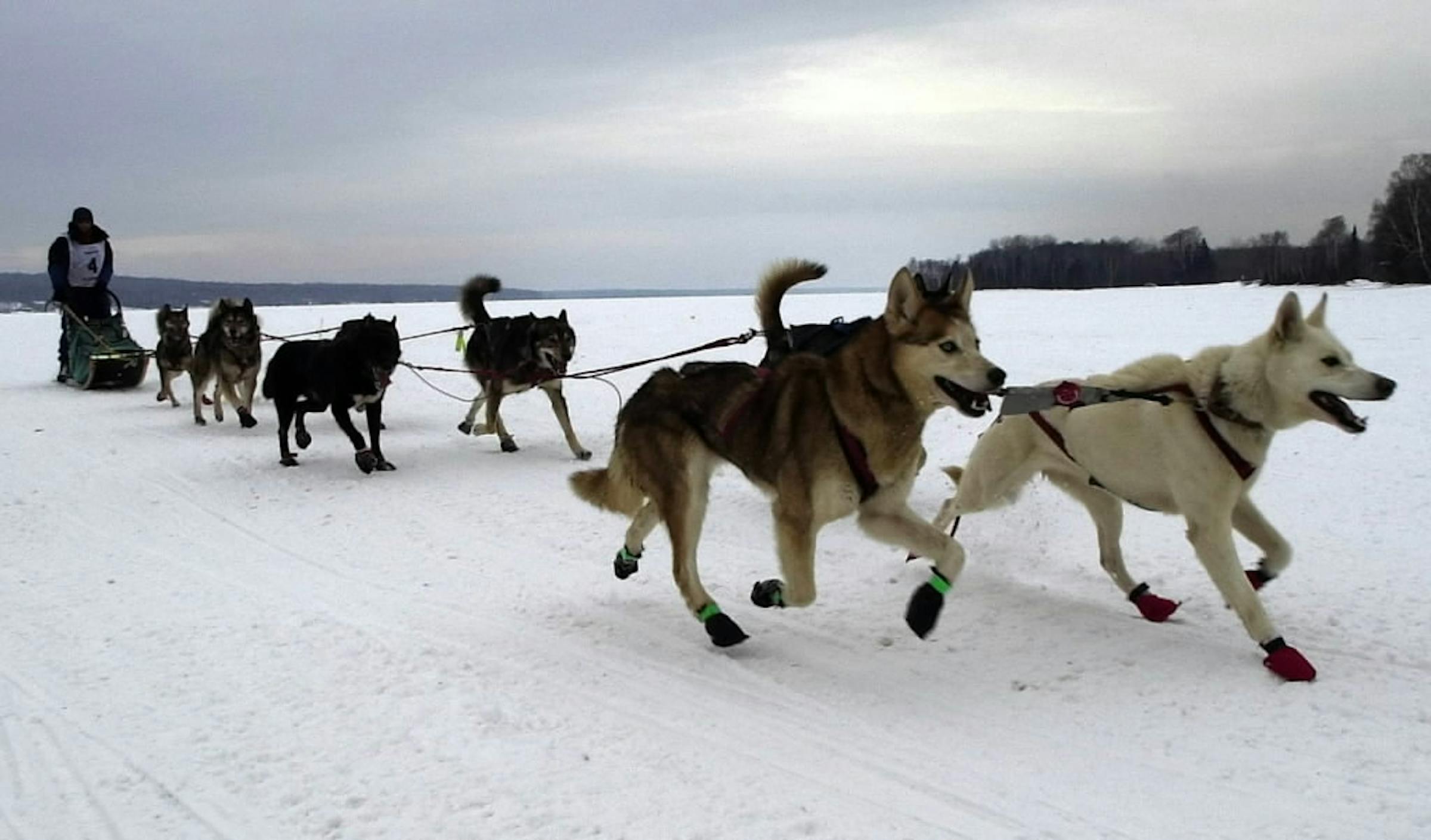 Bitter forecast for Beargrease start Sunday weighs on oldest mushers