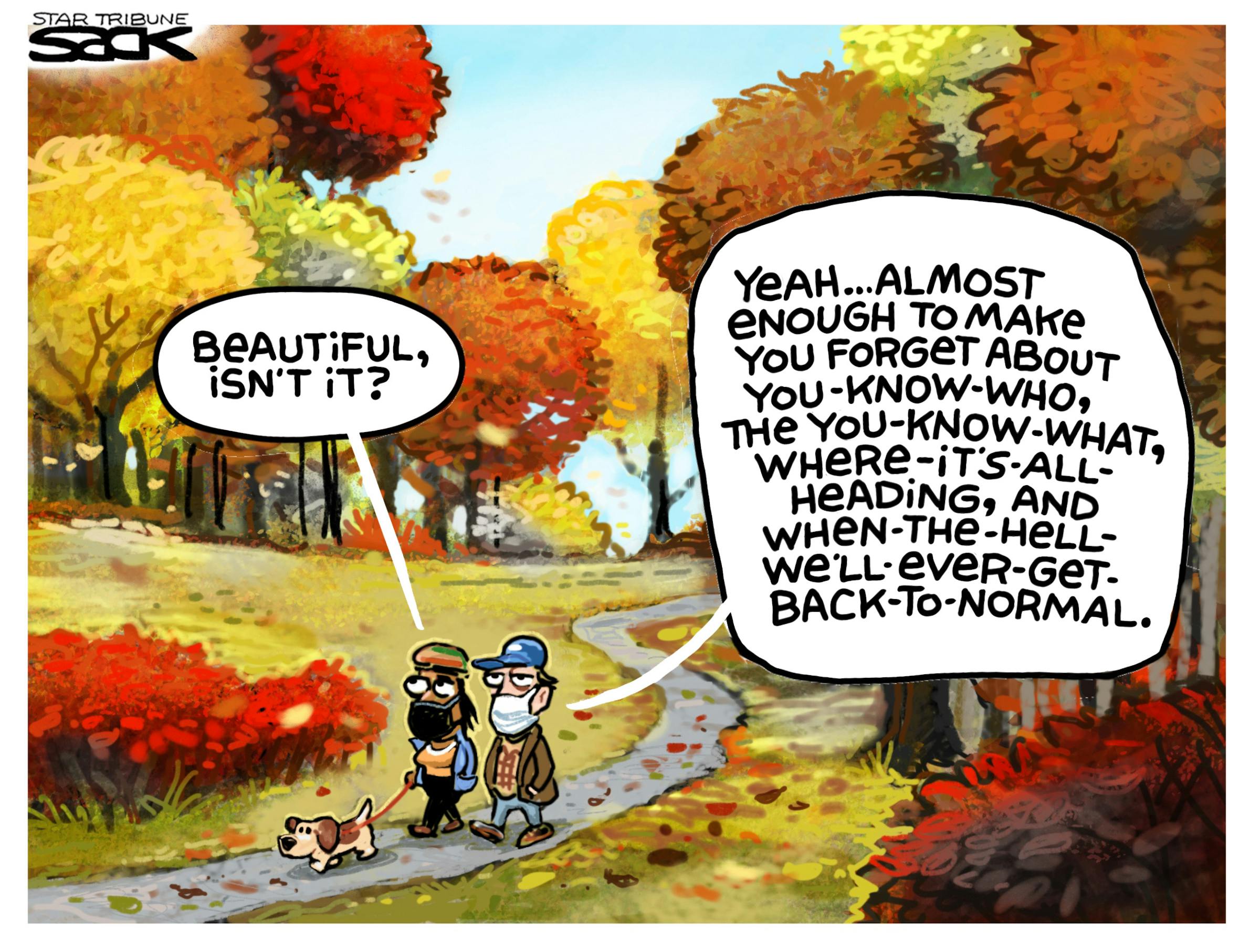 The best of Steve Sack in 2020
