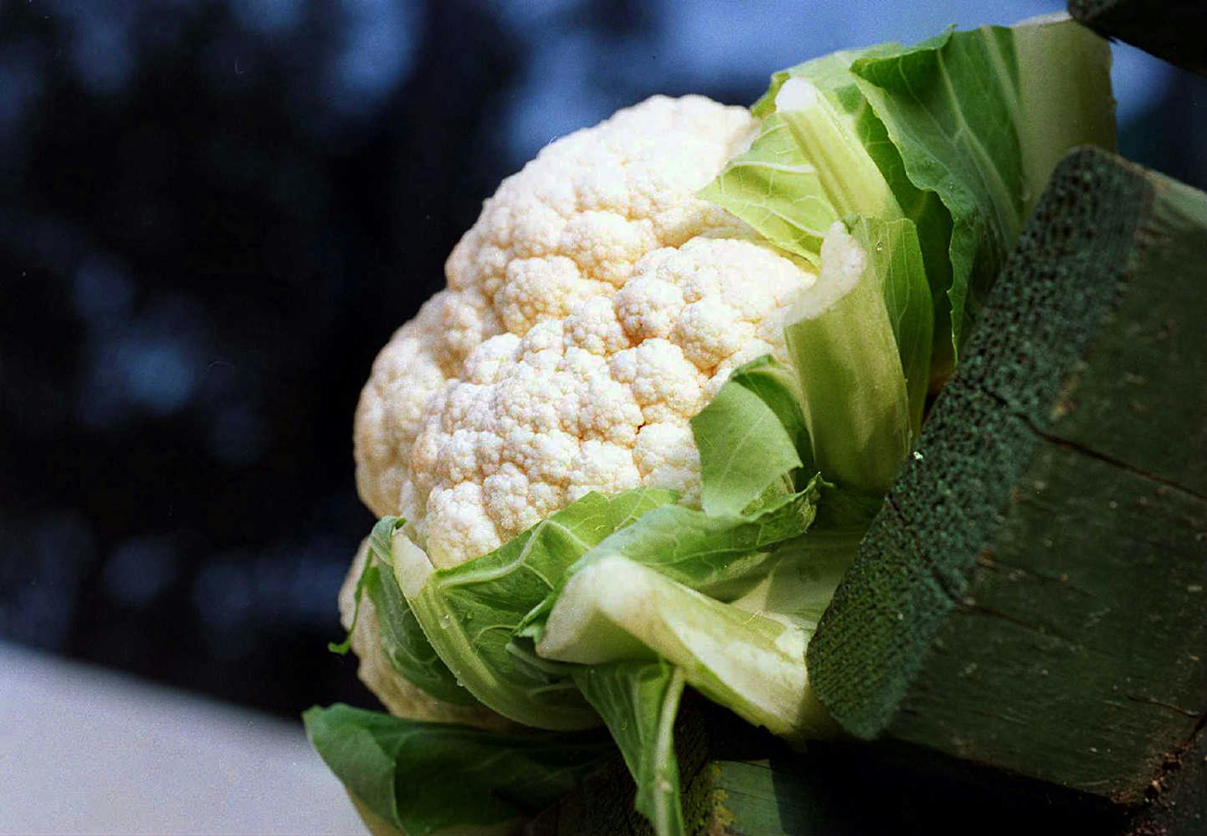 Roasting brings out nutty, sweet flavor of cauliflower