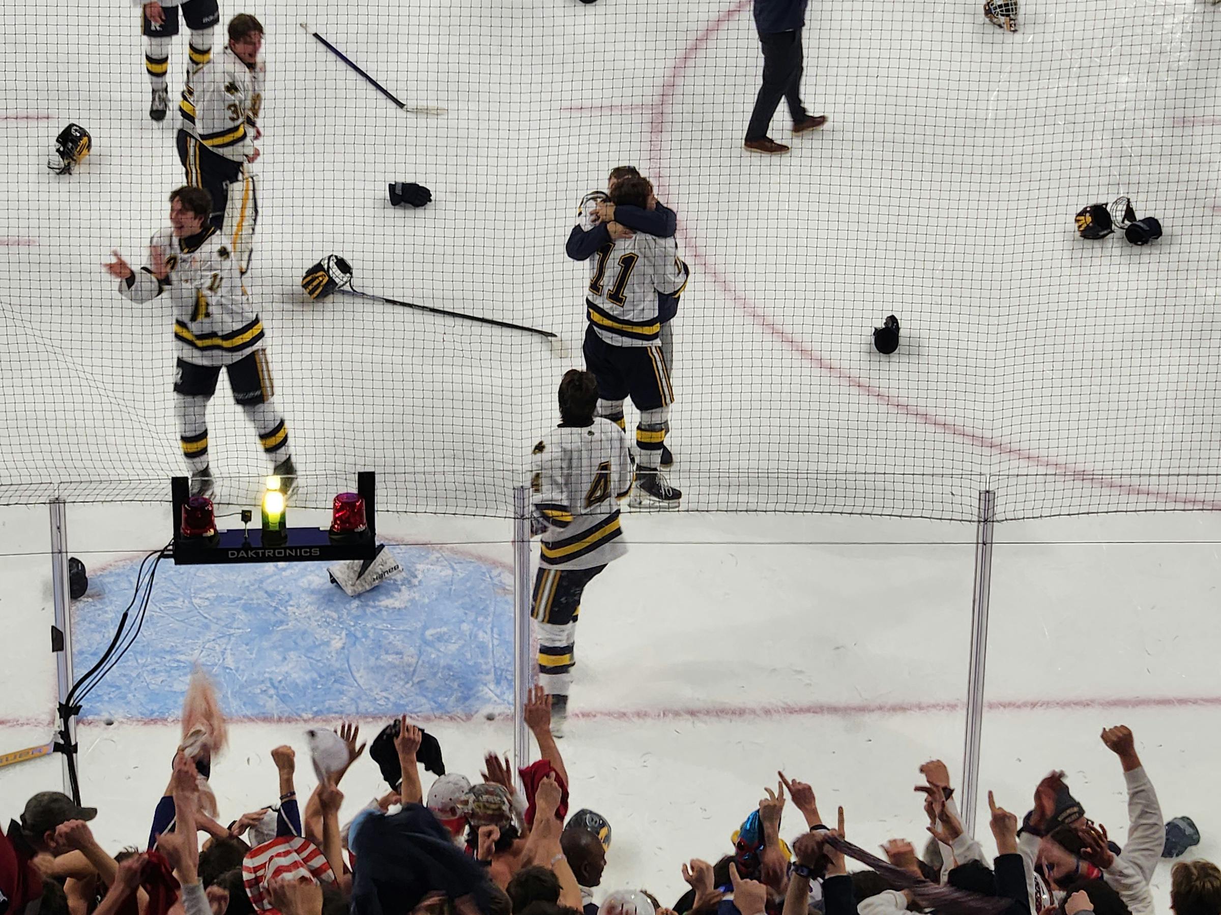 Rosemount boys hockey wins Section 3 championship