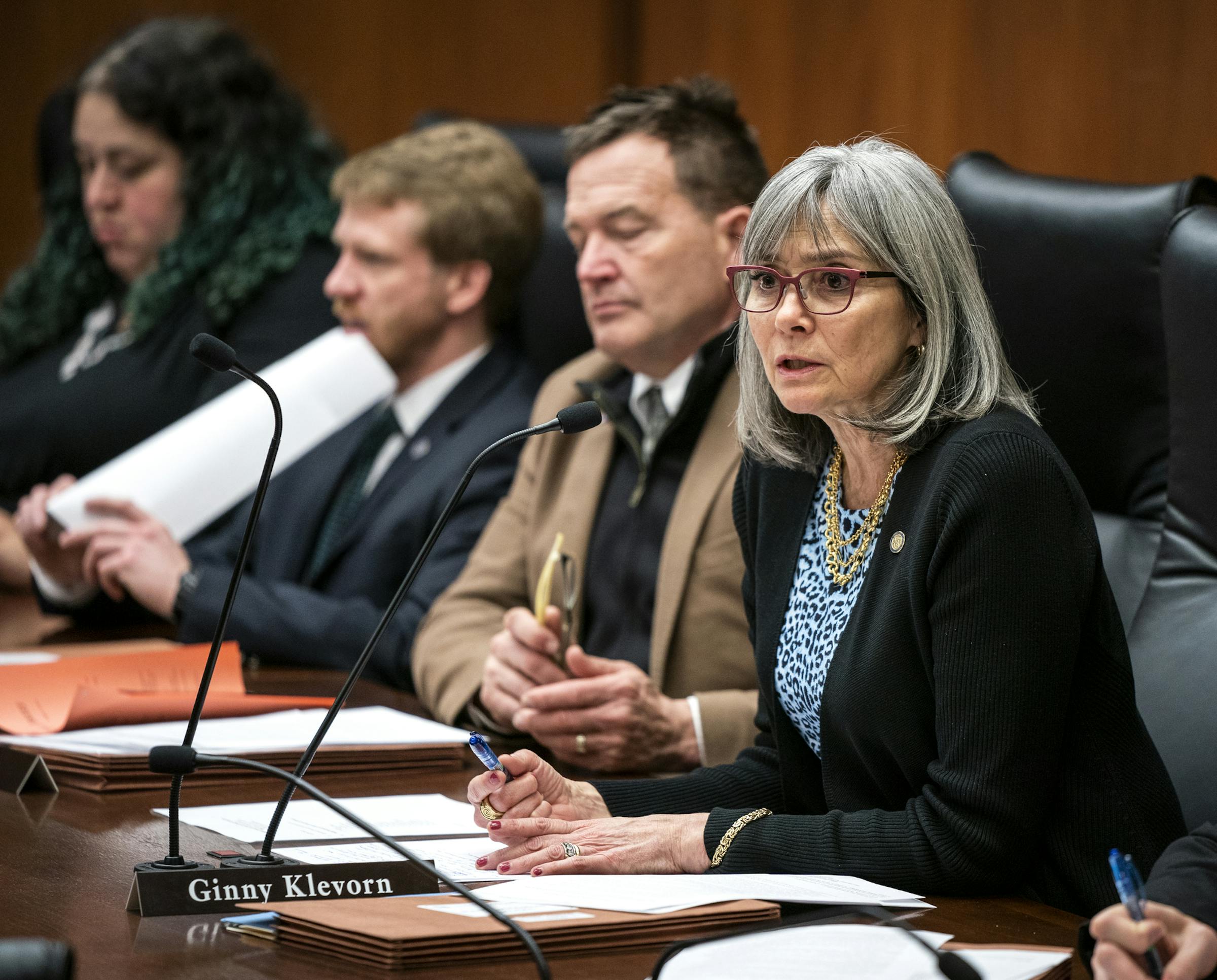 Minnesota's divided government has tight timeline for redistricting
