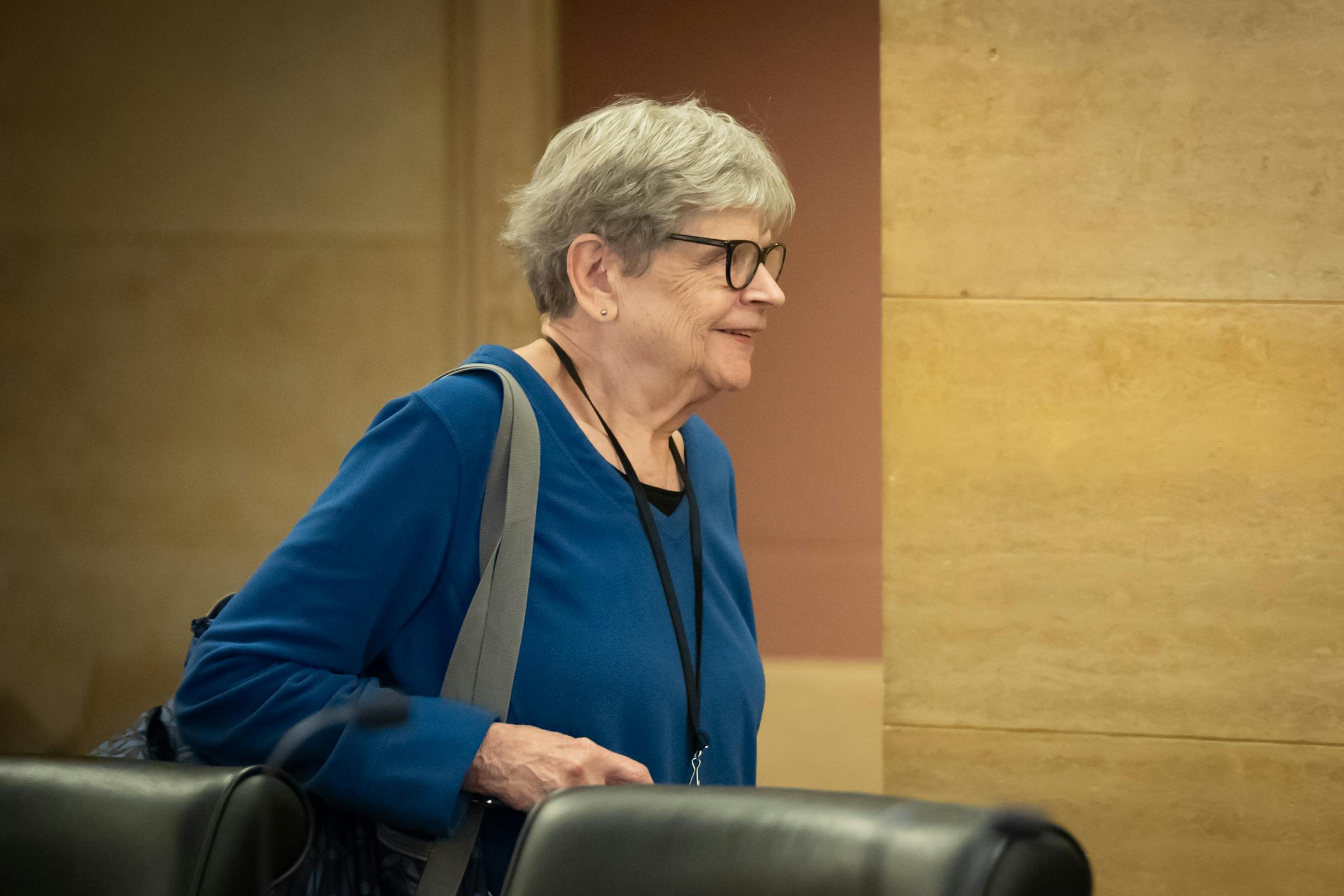 DFL Sen. Ann Rest announces her retirement after 40 years of ...