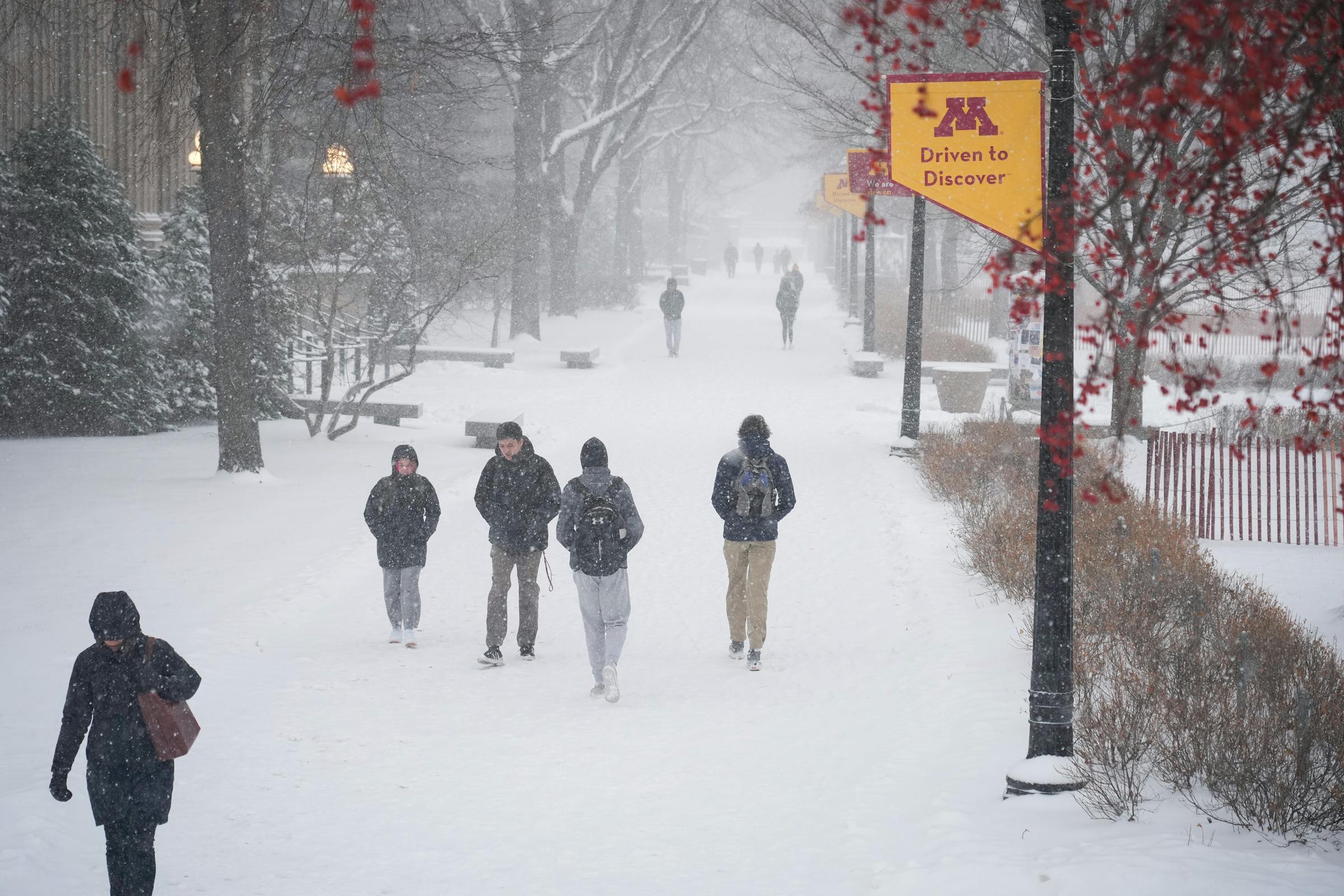 This year's freshman class at University of Minnesota's Twin Cities ...
