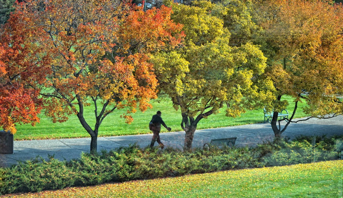 Minnesota's best fall show in years
