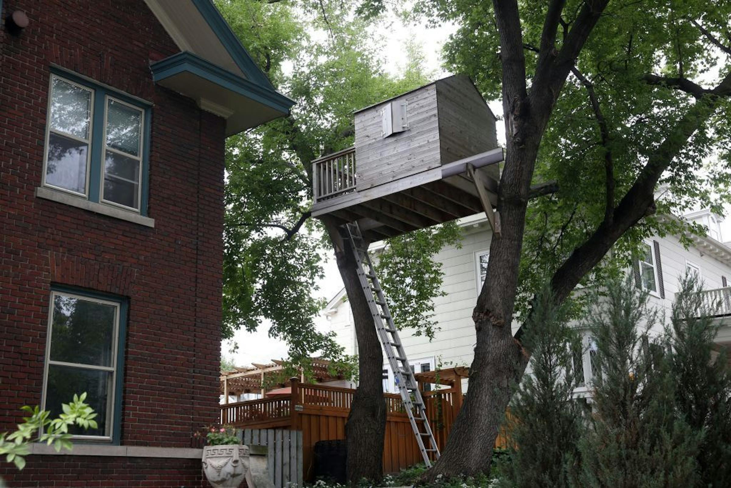 Fate of Lowry Hill treehouse in Minneapolis city board's hands