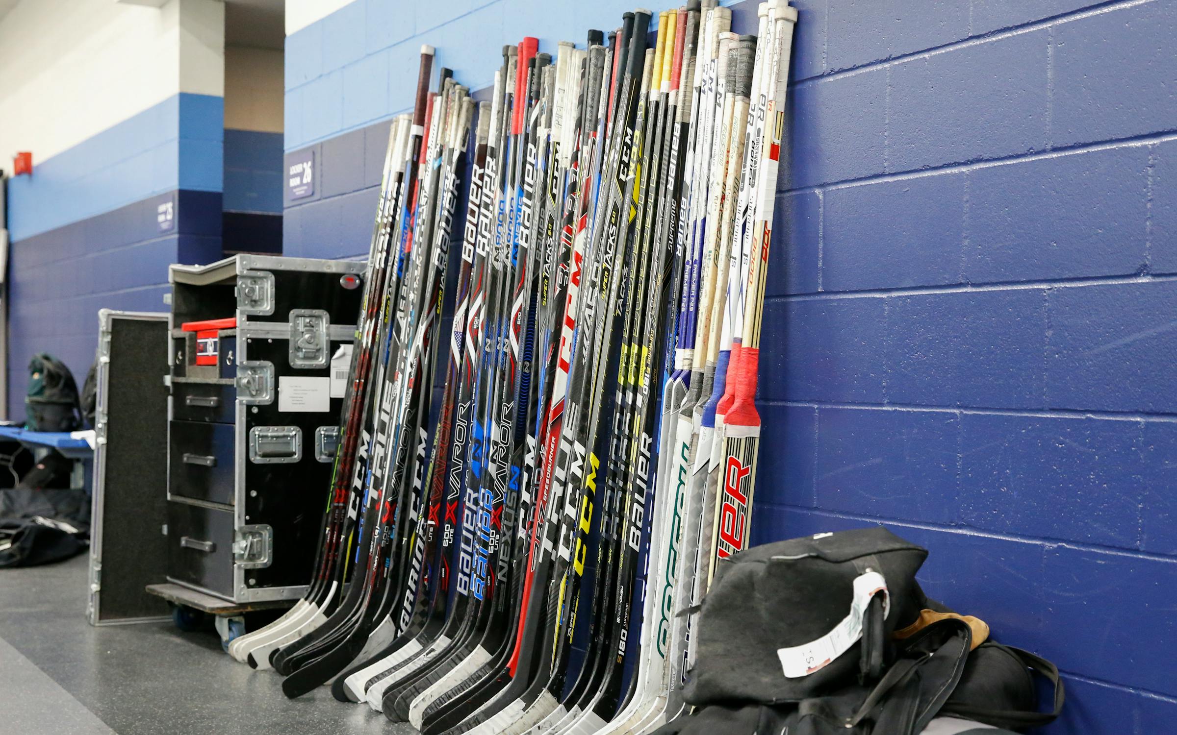 White Bear Lake stops Hill-Murray, advances to the boys hockey state ...