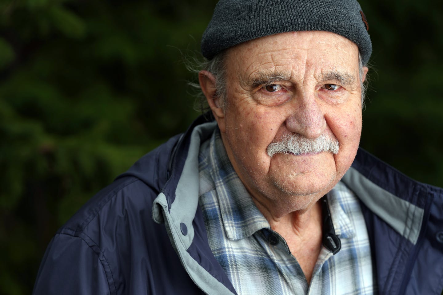 Unlocking the secrets of the wolf, Minnesota's ancient predator