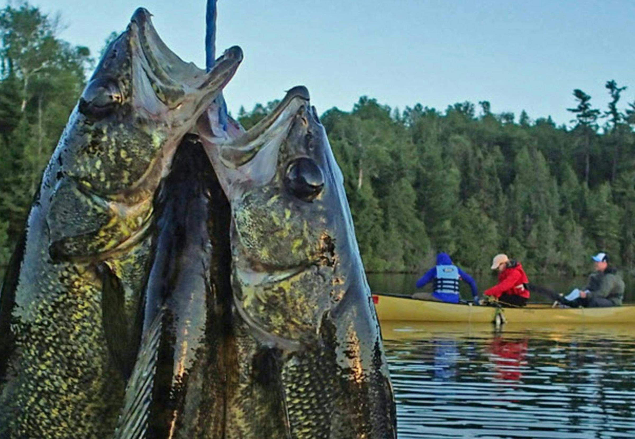 Anderson: With comment deadline looming, DNR casts for support to ...