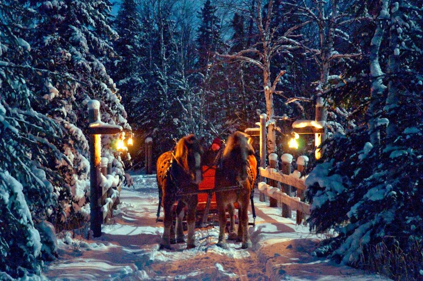 Sleigh ride brings on the magic