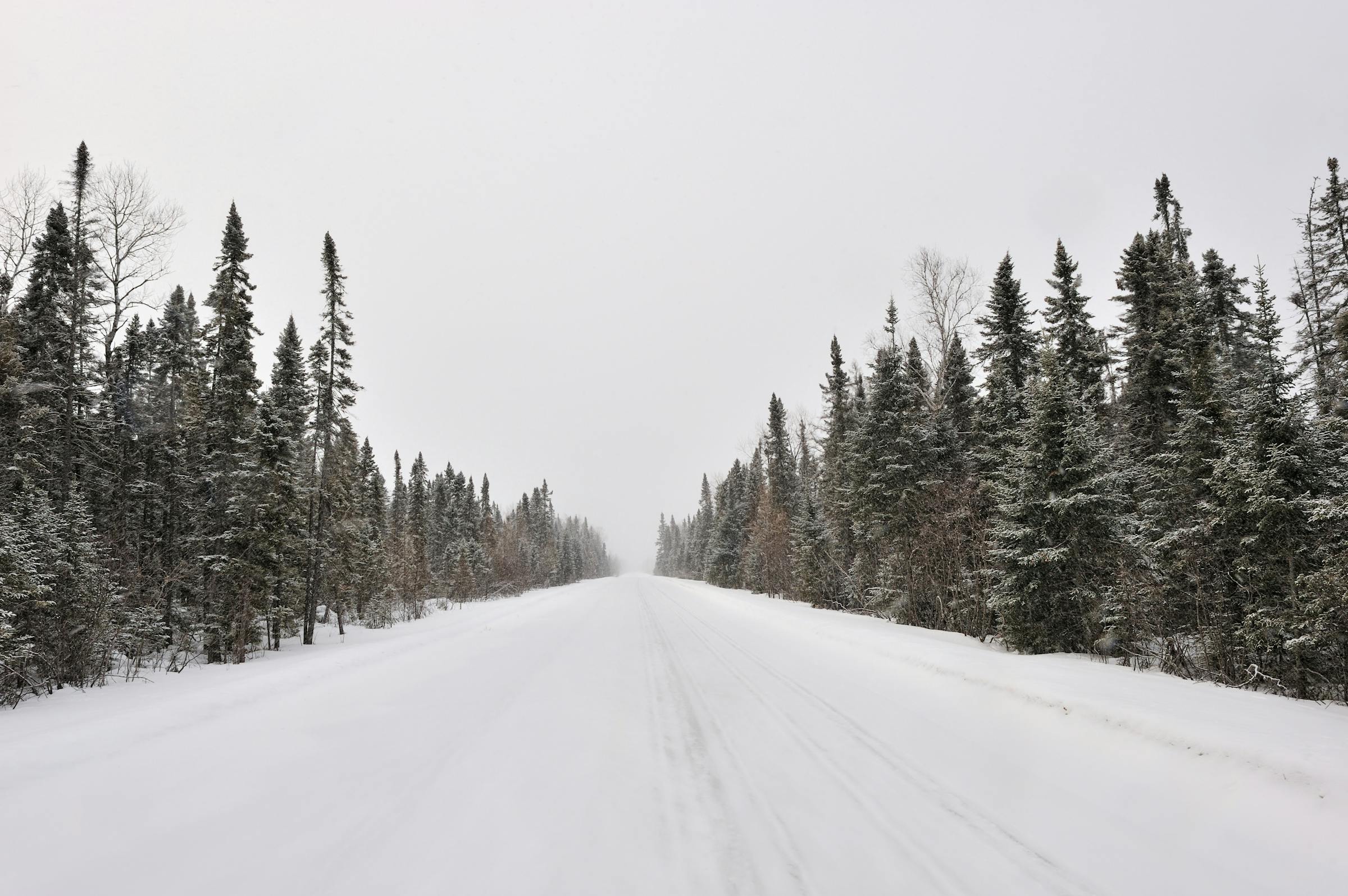 Readers Write: Minnesota state song, public health, social security
