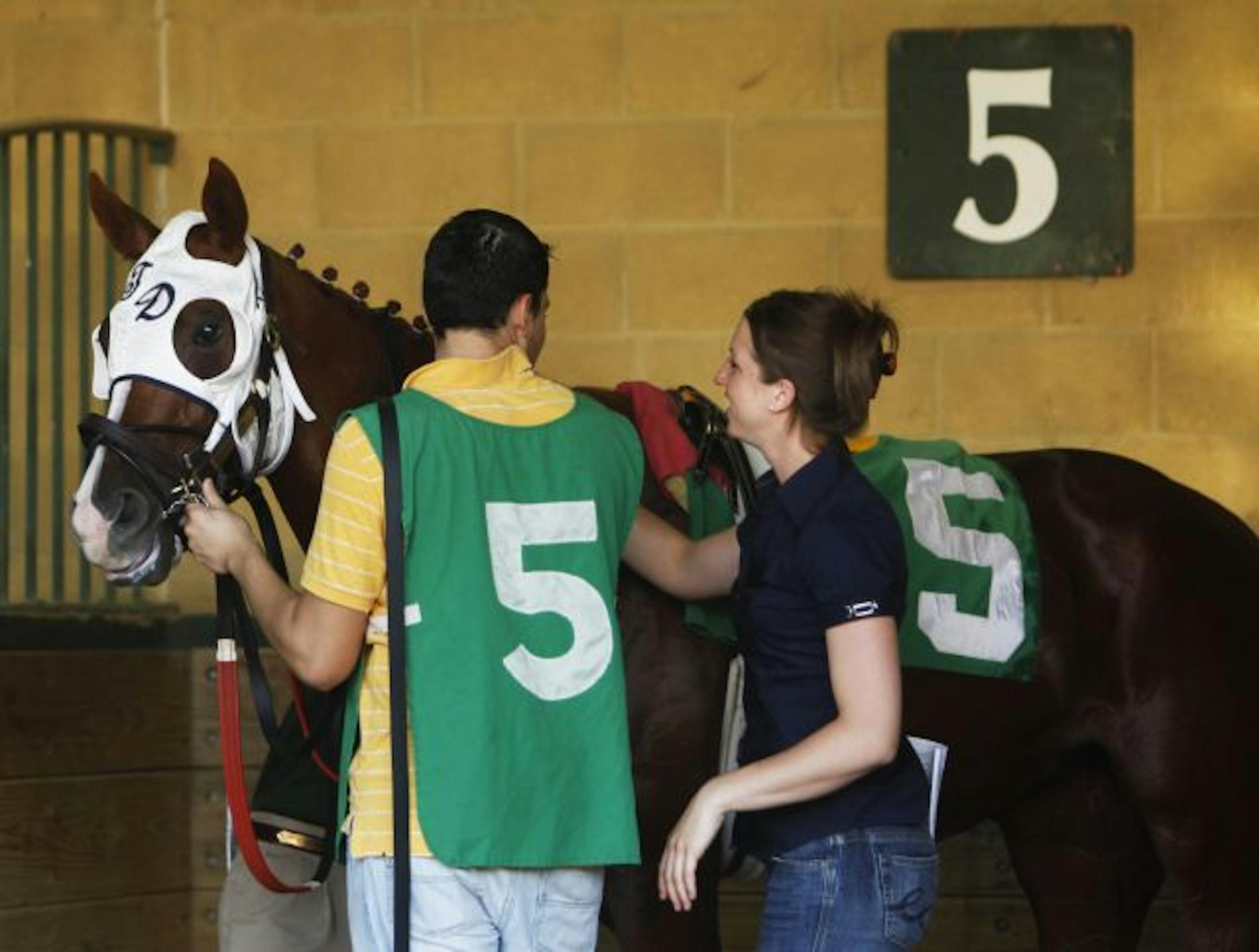 First-time horse owners share a filly at Canterbury