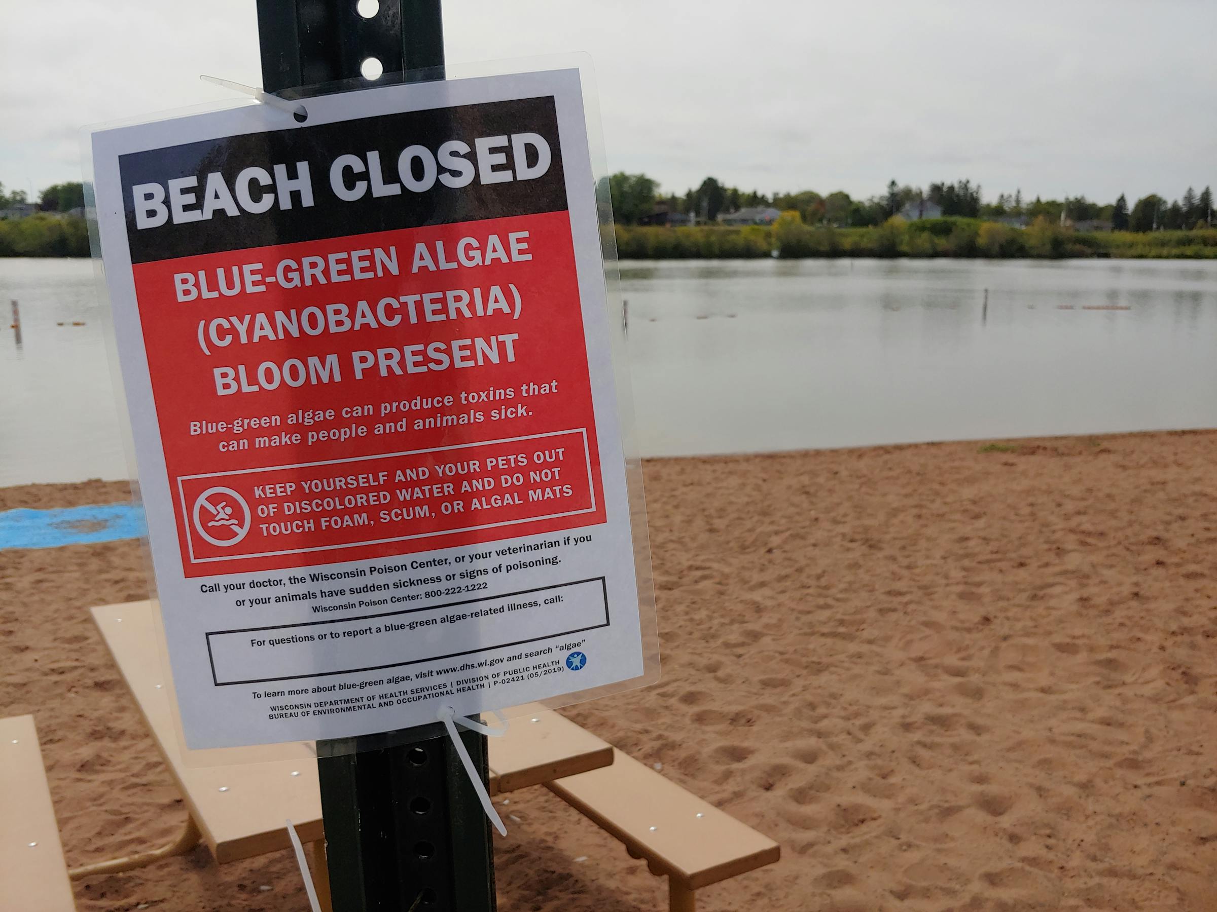 EPA scientists say lakes vulnerable to toxic algae blooms can be seen ...