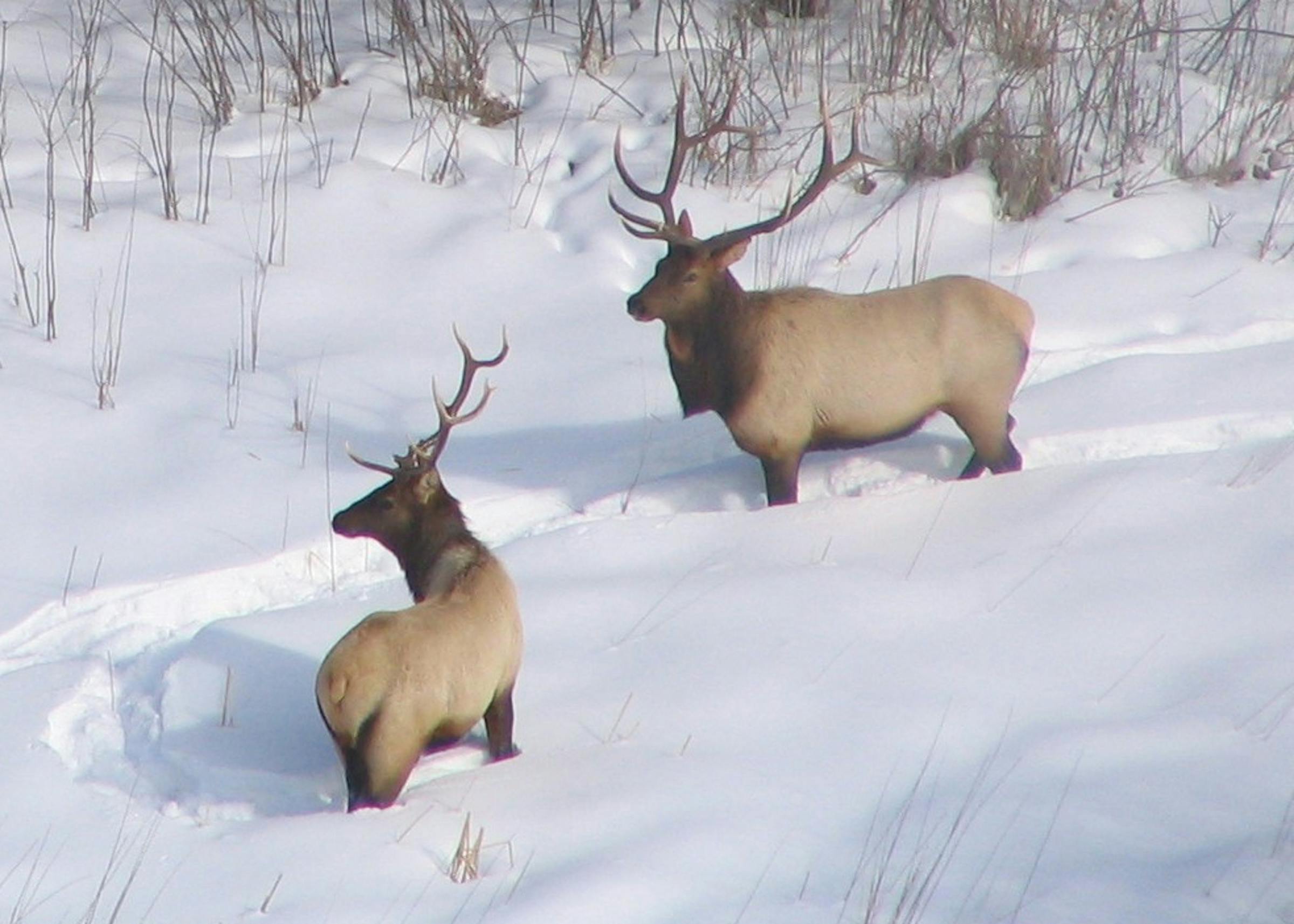 New Minnesota public land projects to the fore in 2023