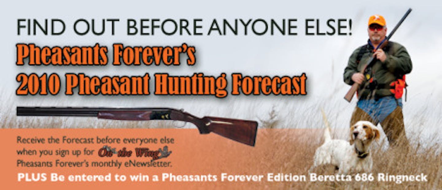 Baseball, Corn Dogs and Classic Covers