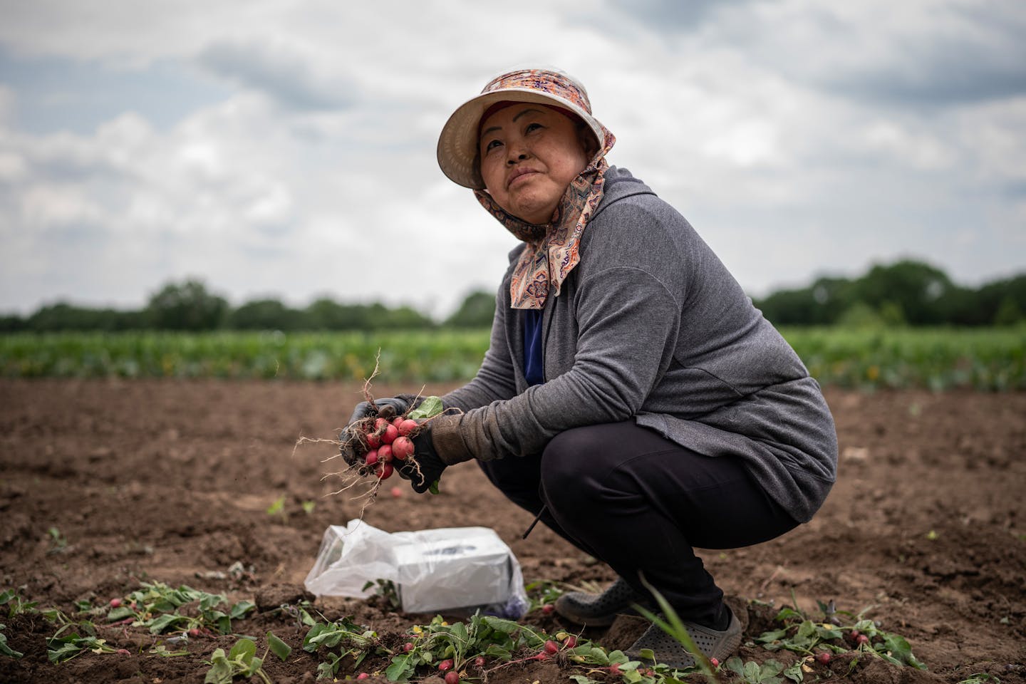 Hmong American Farmers Association's land