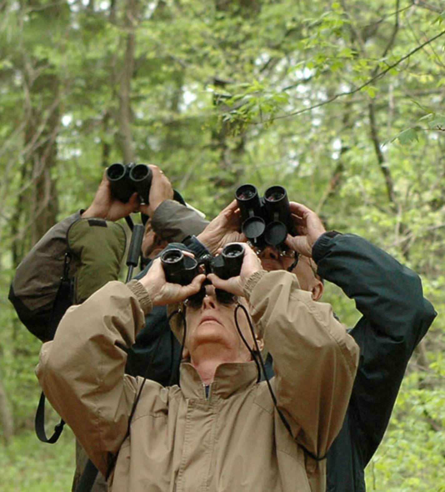 Subtle clothing colors are best for birders