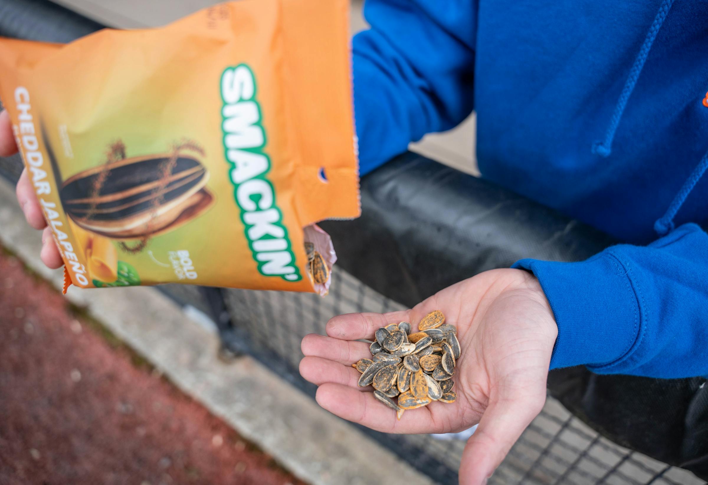Smackin' seeds a Minnesota-grown sunflower success