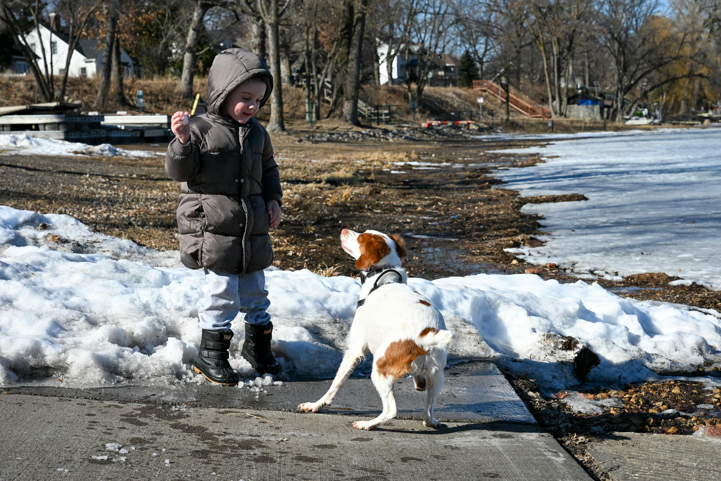 White Bear Lake asks if dogs really need a beach