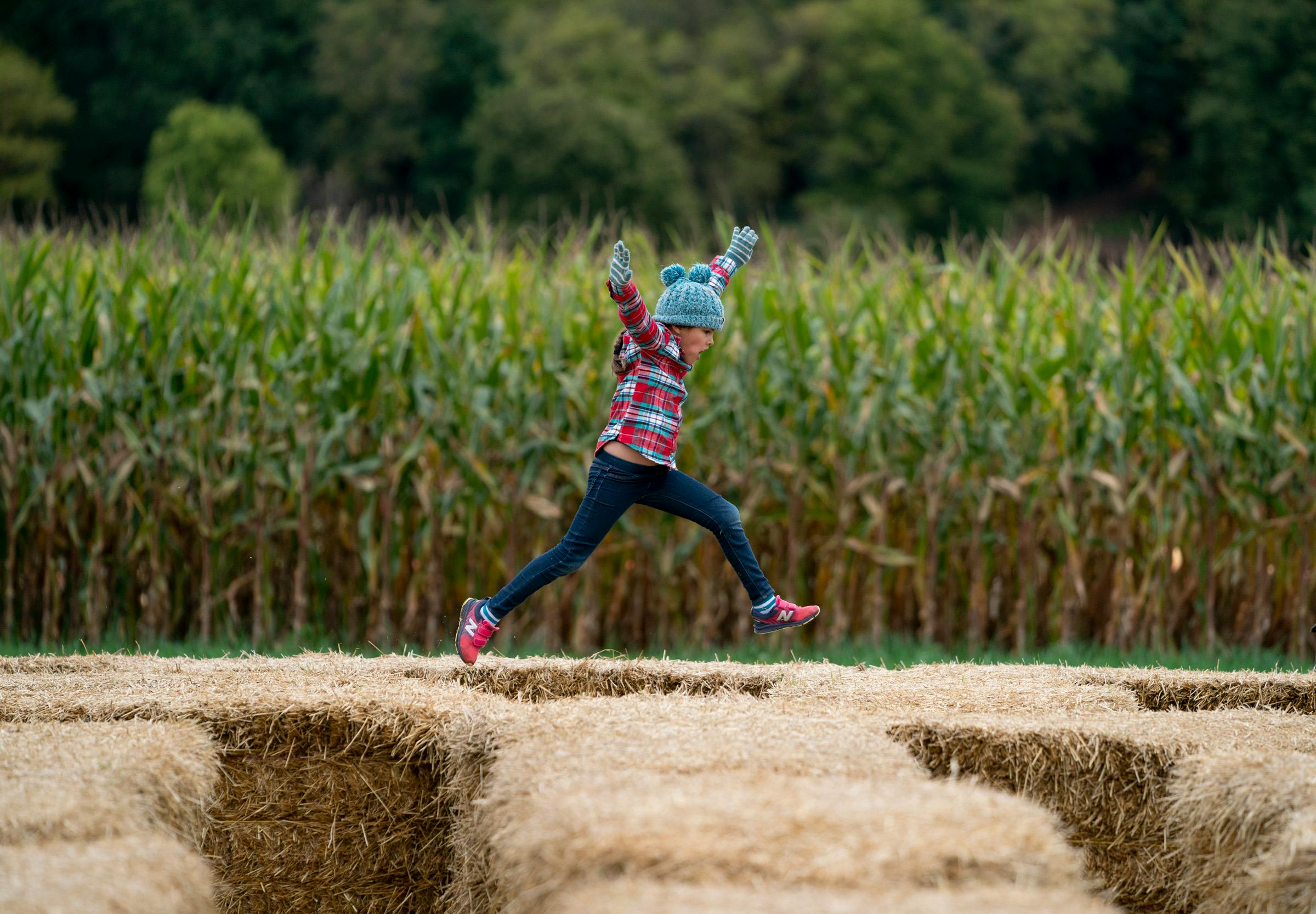 Corn pits. Polkas. Goat petting. Here's your guide to fall fun, Minnesota.