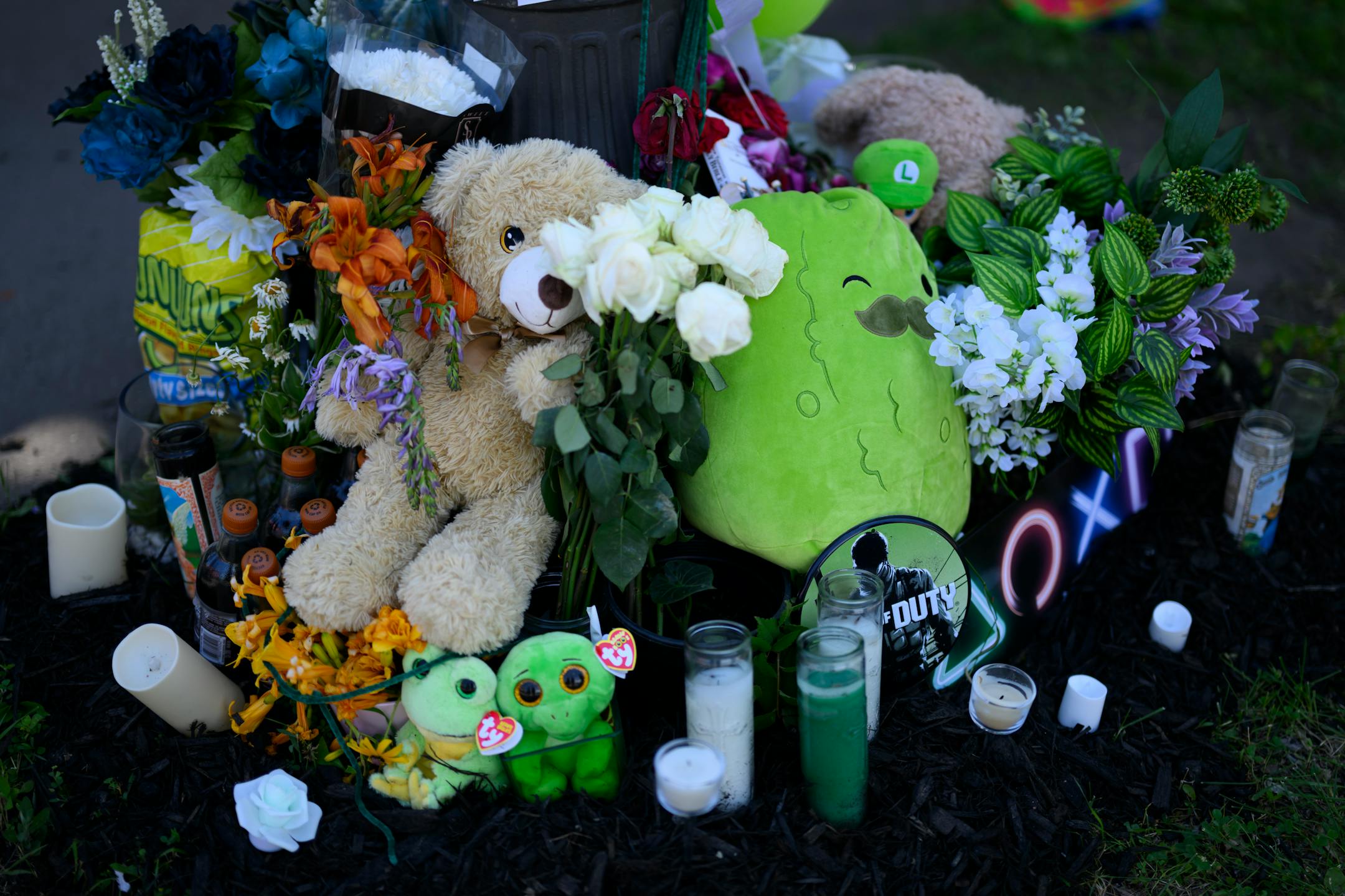 Friends, family remember vibrant 14-year-old killed in moped accident