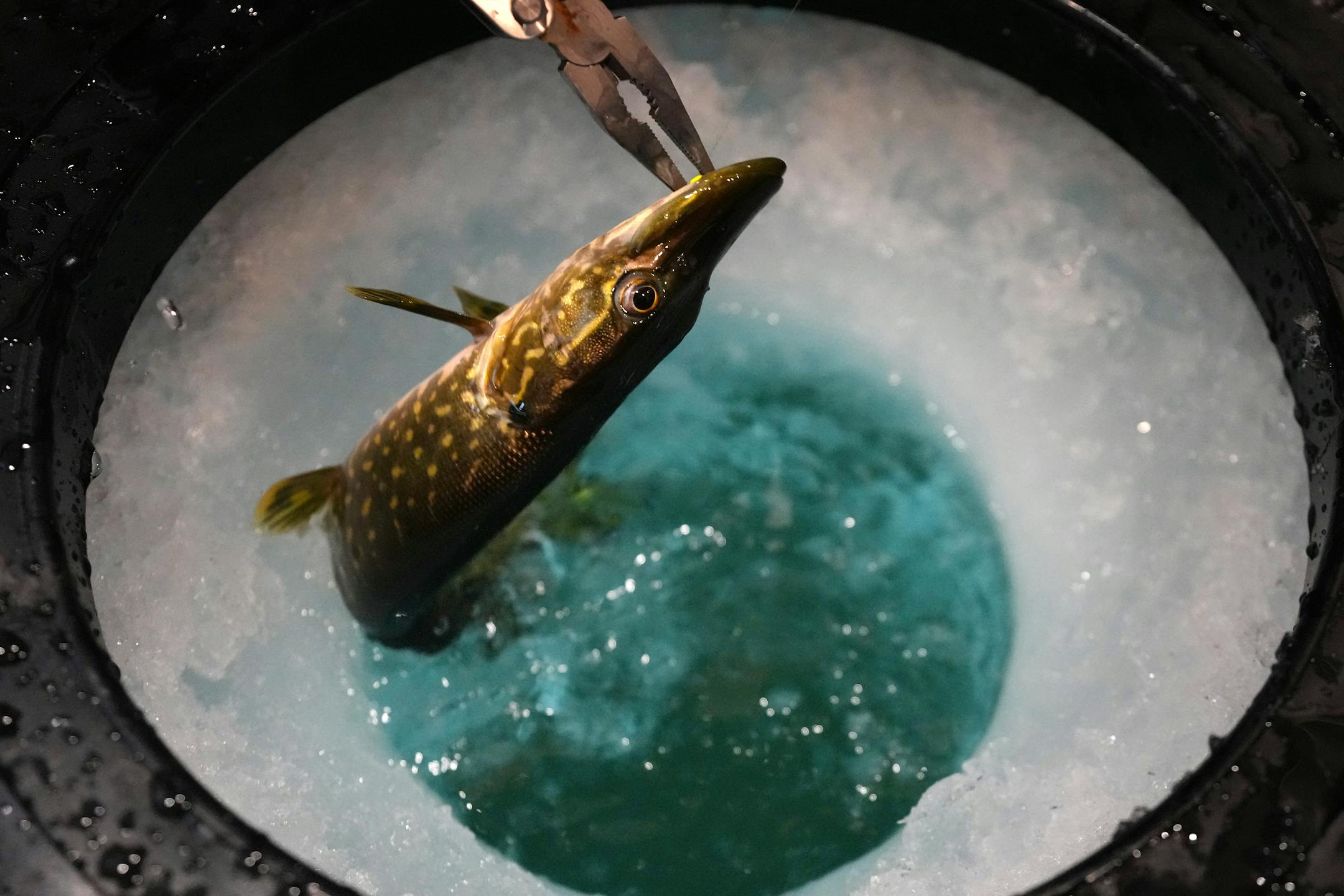 Minnesota ice fishing off to quick start after early freeze