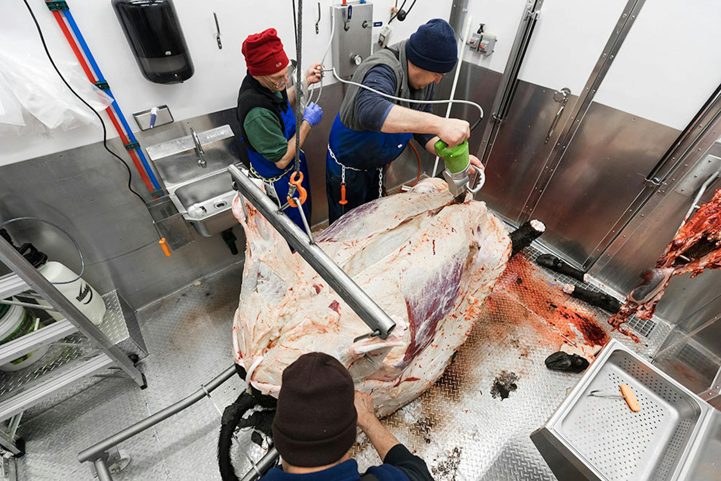 Two Minnesota community colleges will bring meat-cutting back to the ...