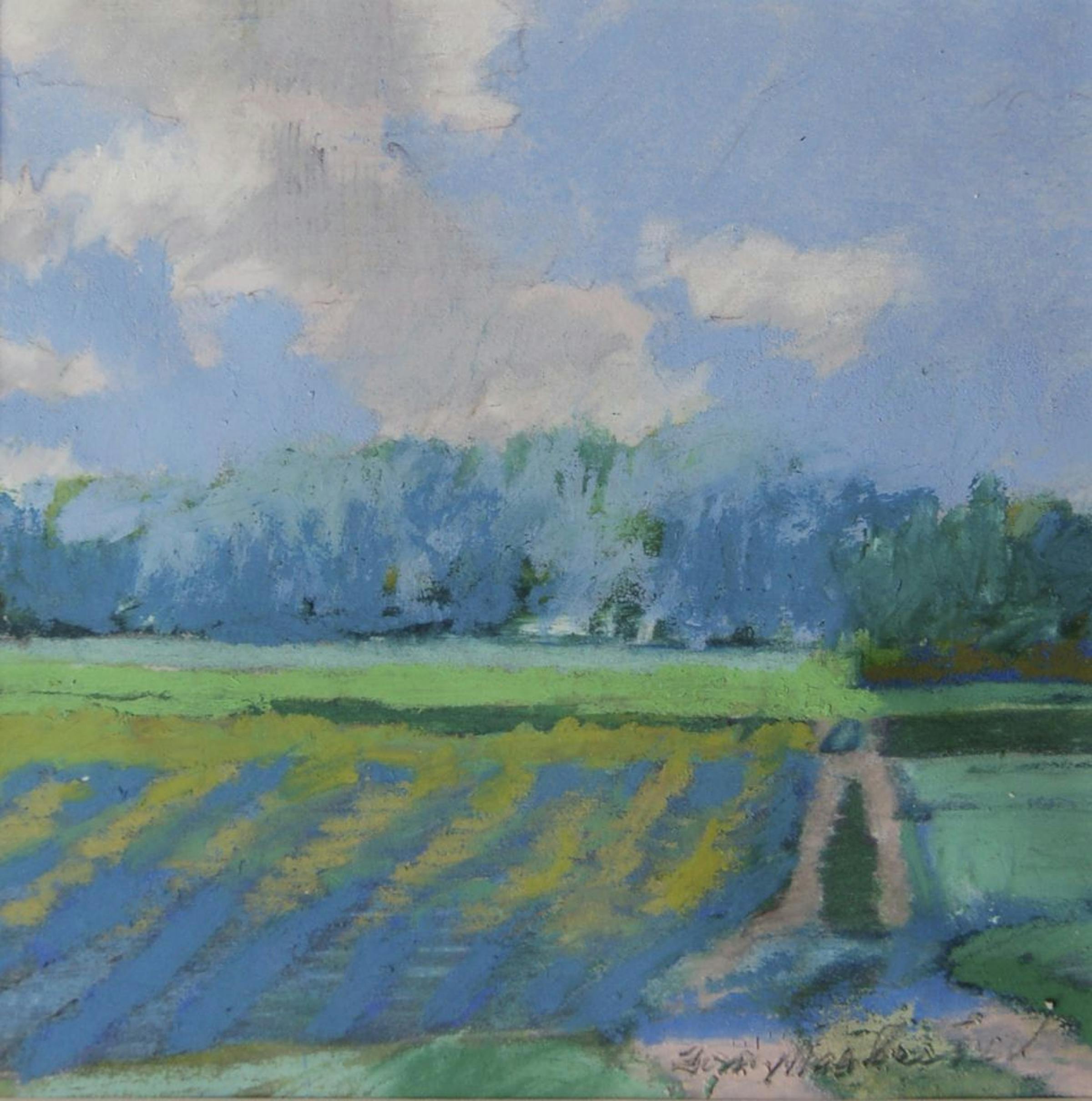 Art spotlight: Six shows at Groveland Gallery