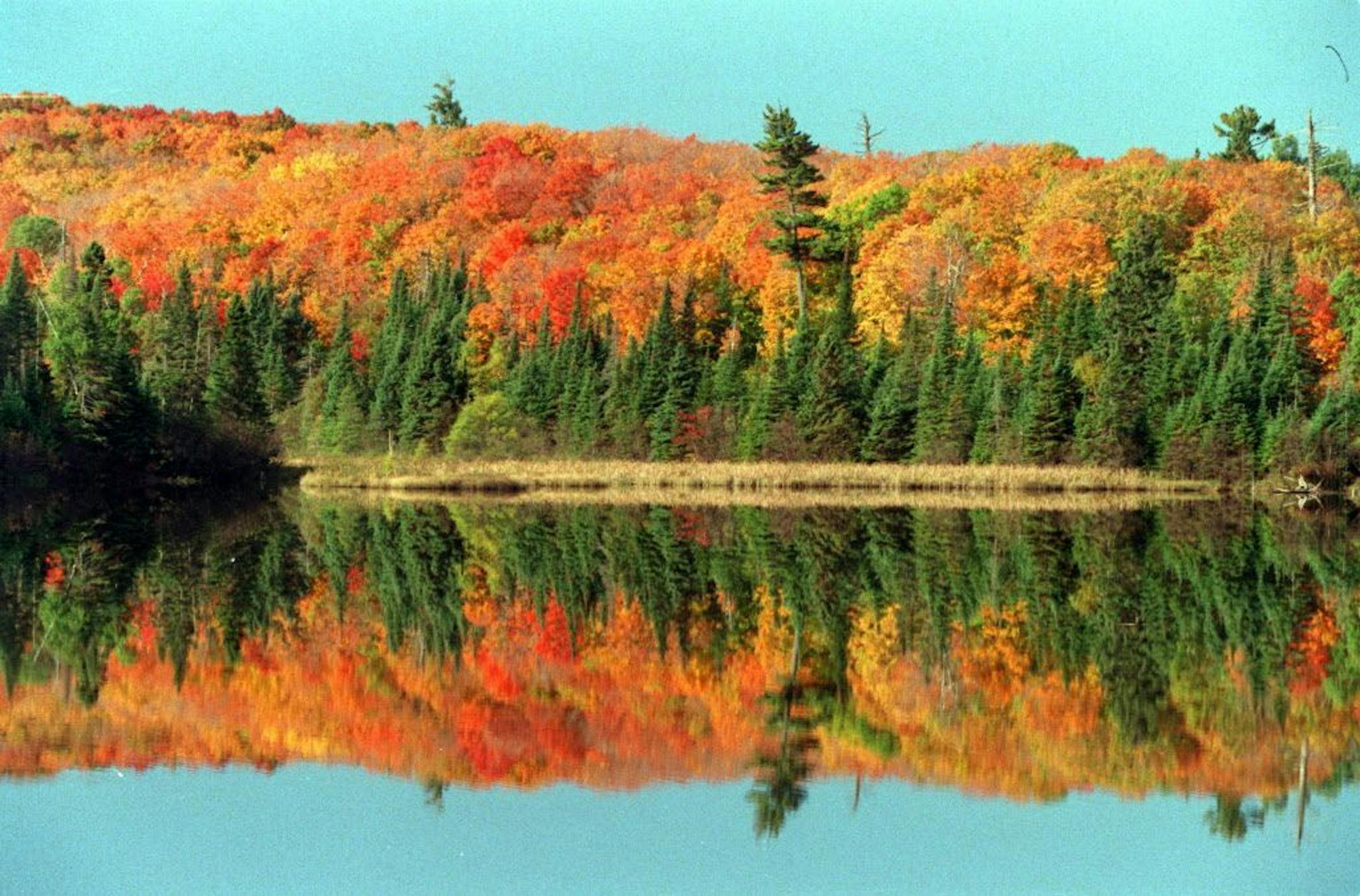 Innkeepers share their favorite fall drives in Minnesota