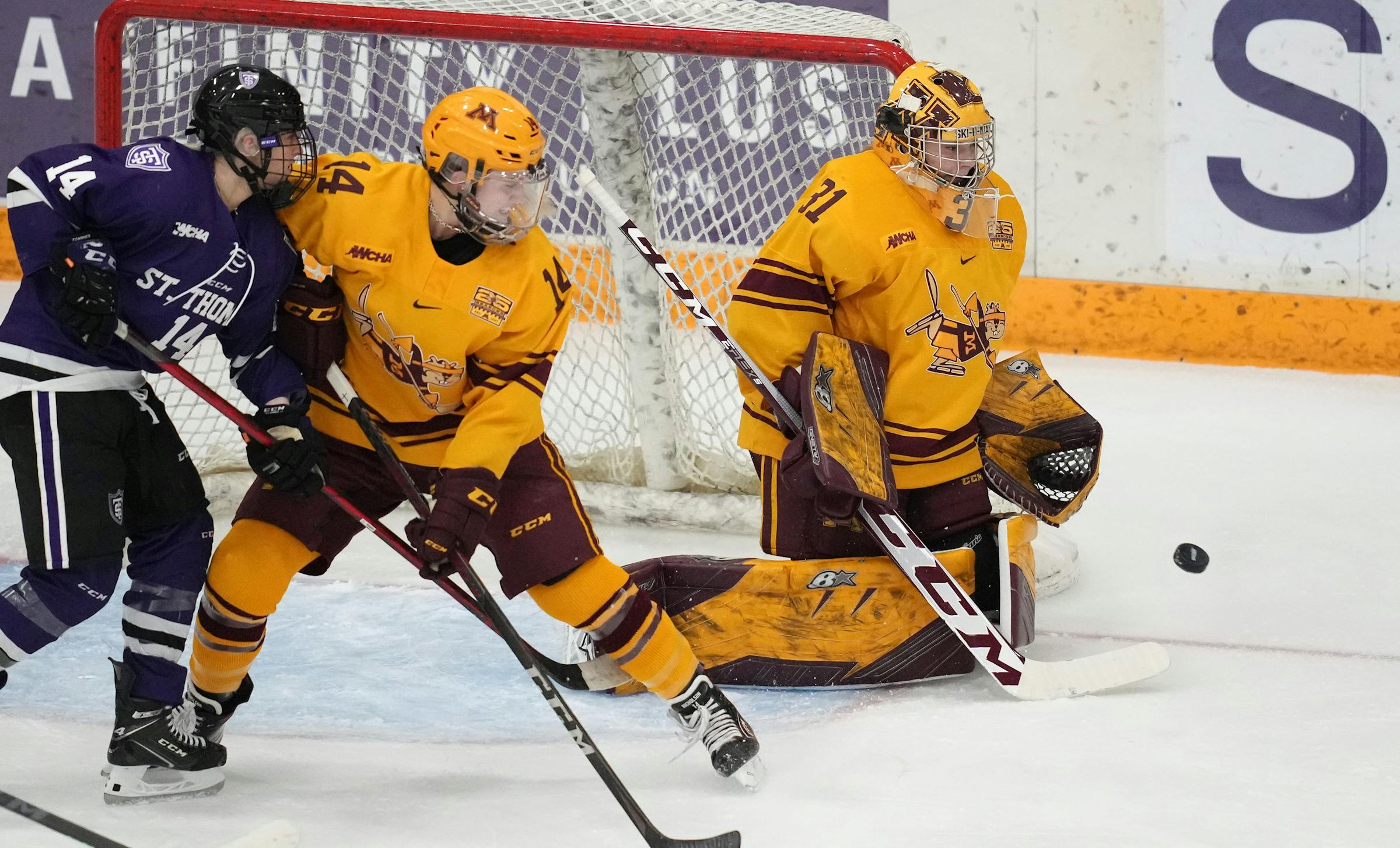 Abbey Murphy, Skylar Vetter of Gophers women's hockey honored with ...