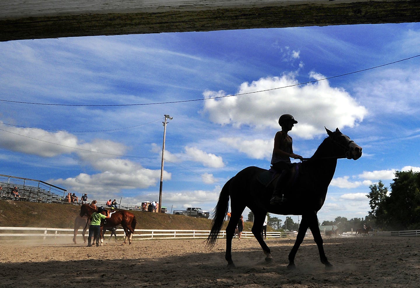 Review: 'Leroy Ninker Saddles Up,' by Kate DiCamillo; illustrated by ...