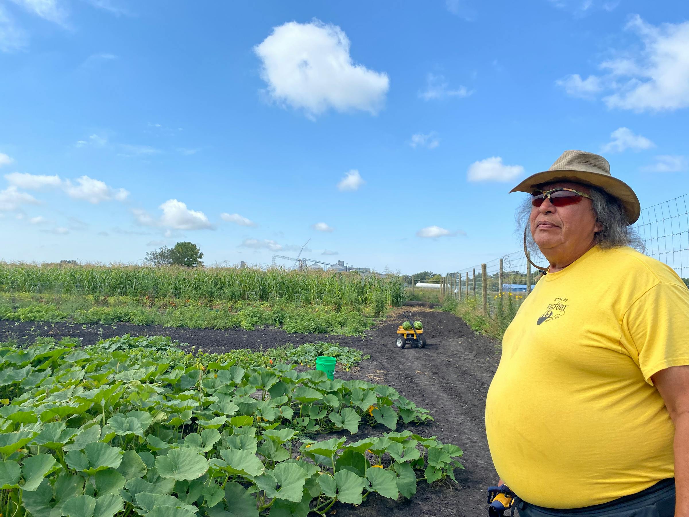 White Earth Reservation tribal college plants a farm, hopes for food ...