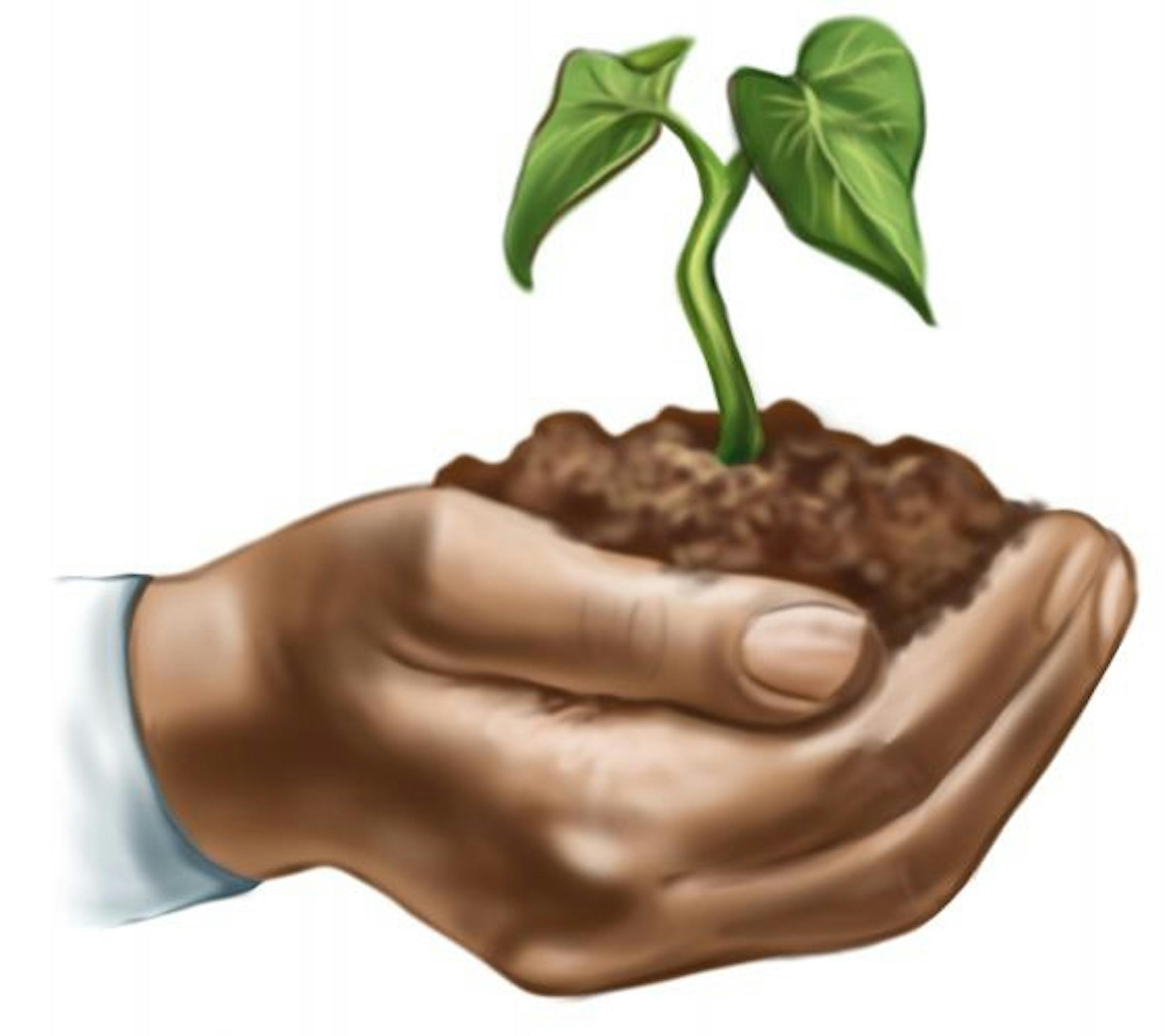 5 seed-starting basics