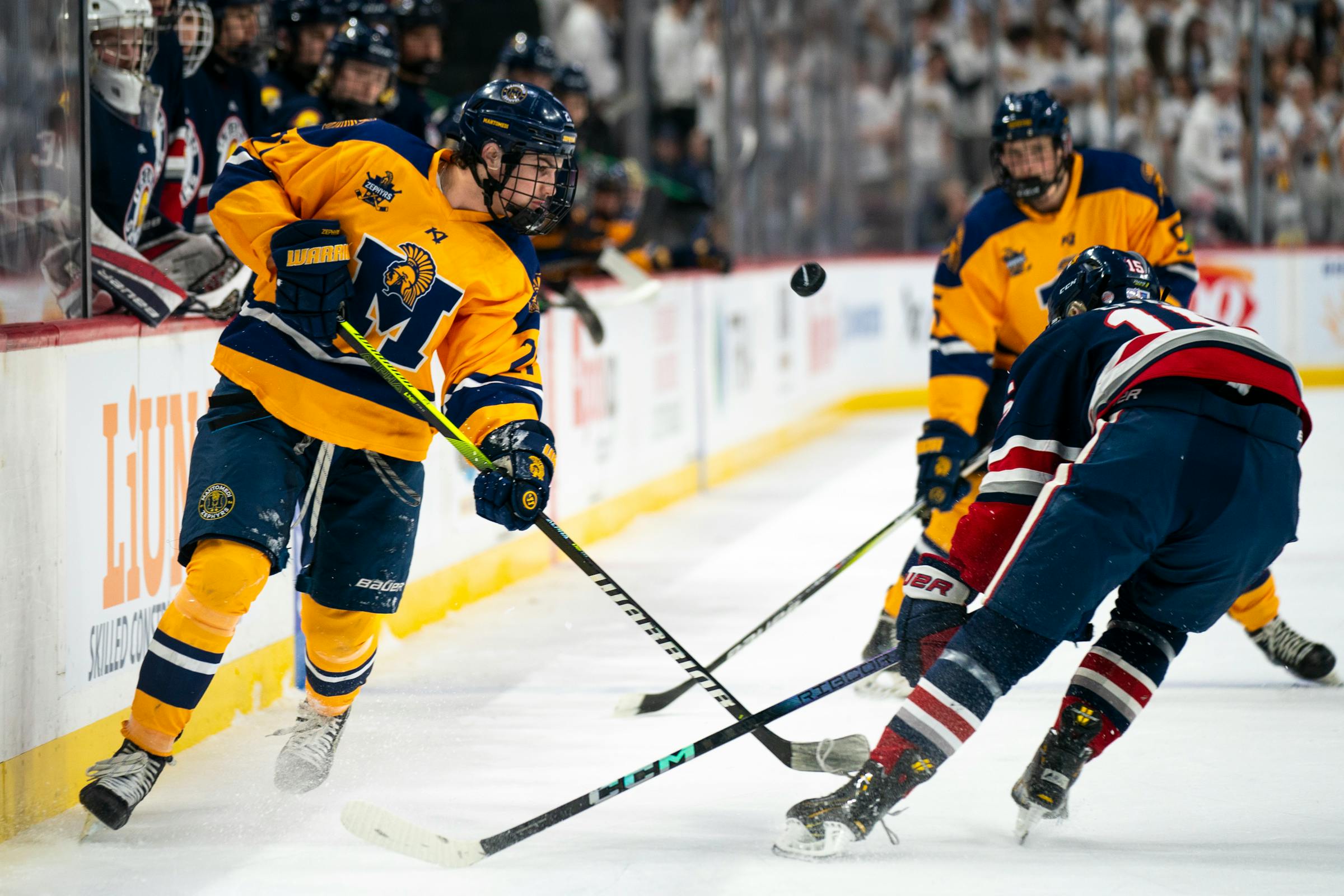 Minnesota boys hockey state tournament: Class 1A quarterfinals roundup