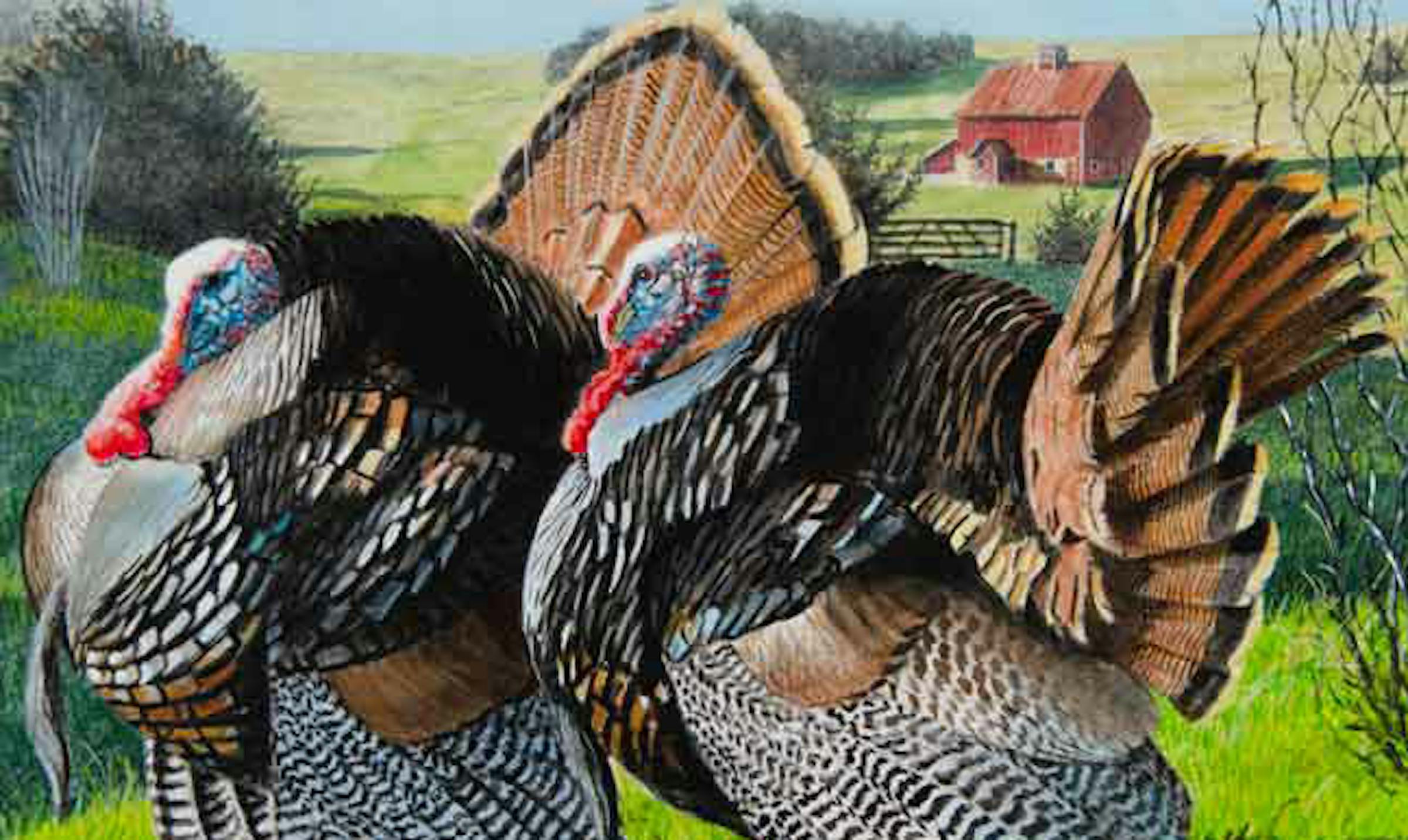 Minnesota hunters have until Jan. 10 to apply for a spring wild turkey ...