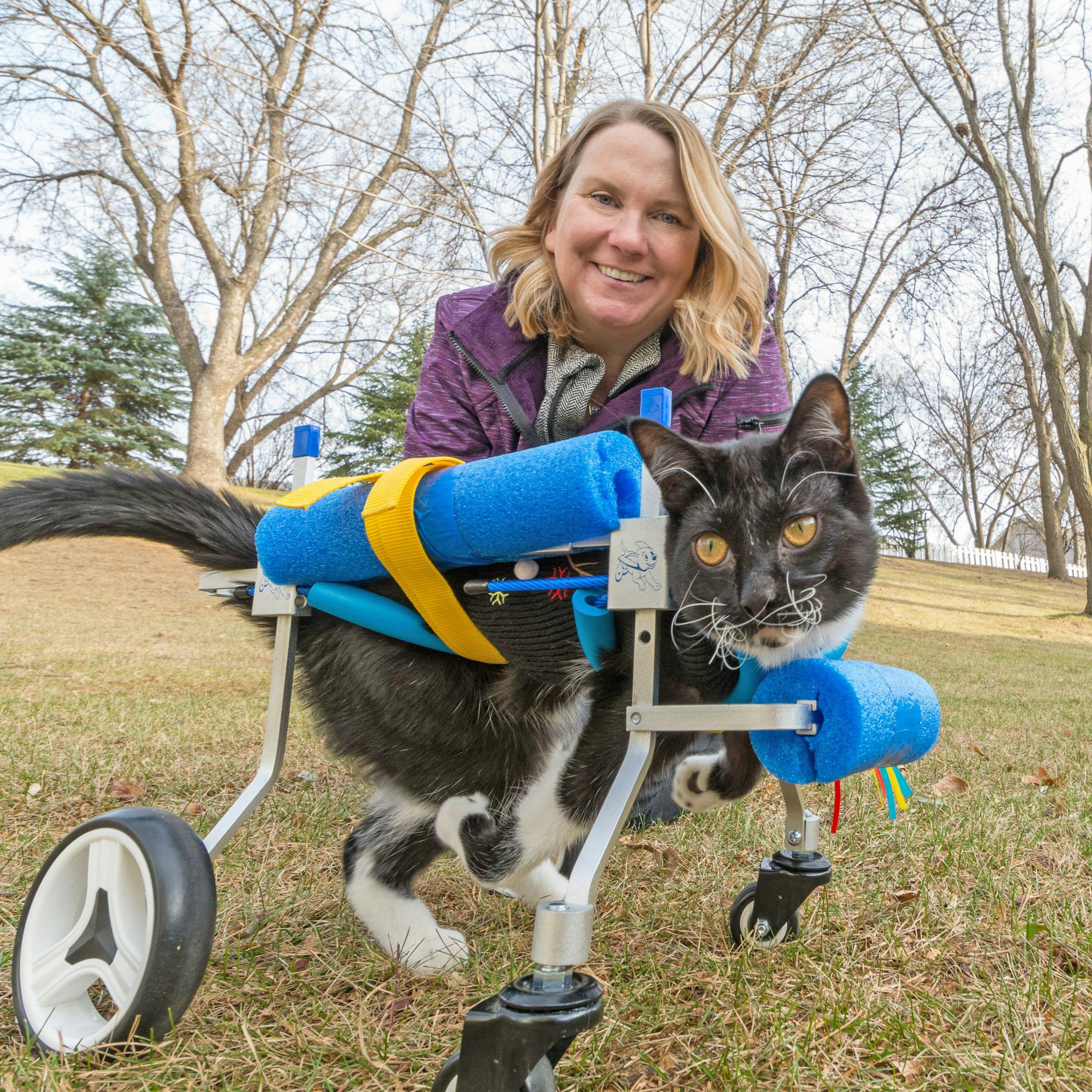 Plymouth woman helps cats with disabilities have happy lives