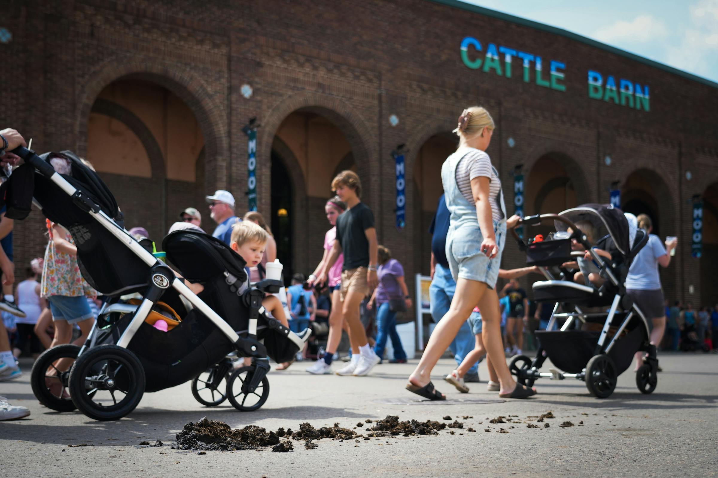 Food gets top billing at the Minnesota State Fair. But what about the ...