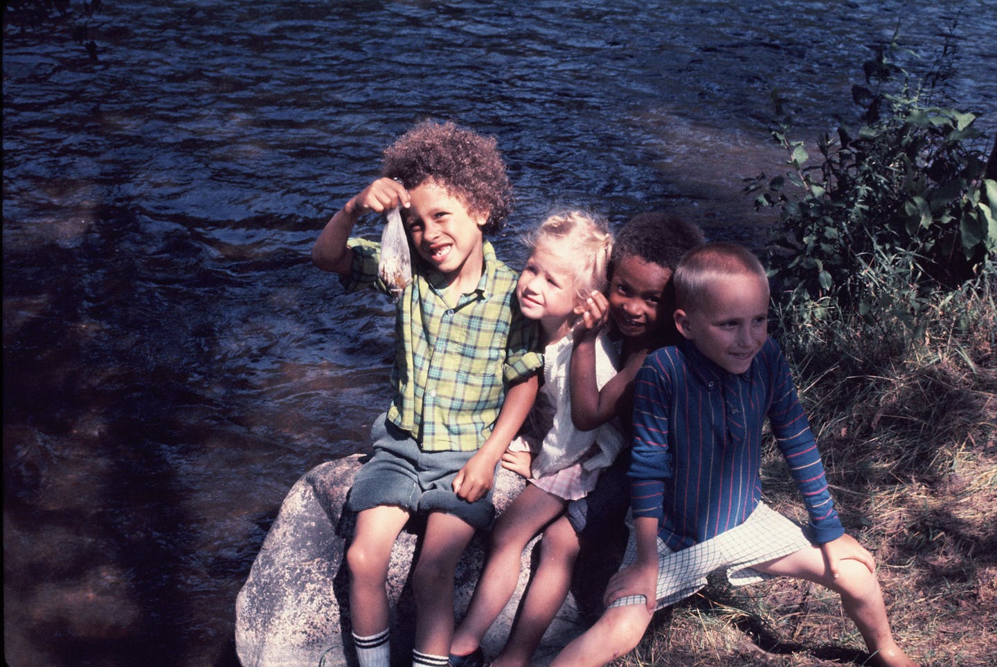 Phyllis Wheatley Community Center to revive decades-old summer nature ...