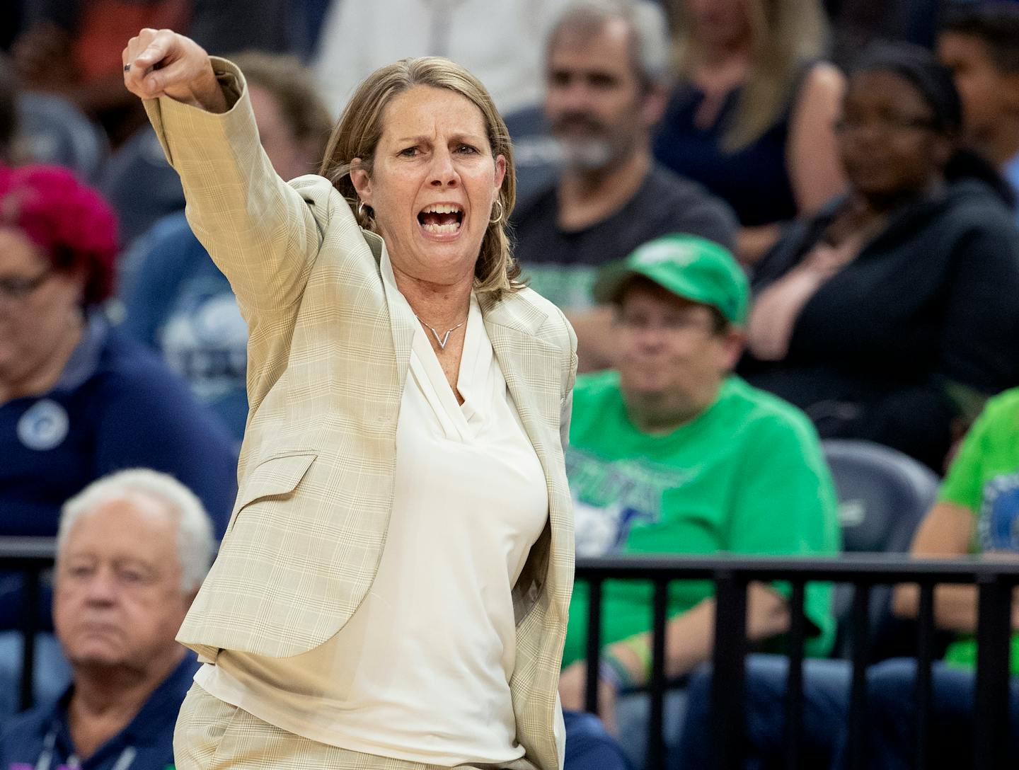 Cheryl Reeve named U.S. women's national team coach, will lead team at ...