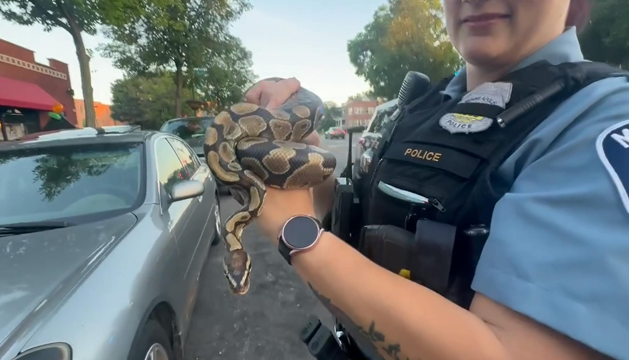 Minneapolis rideshare driver finds large snake left in car