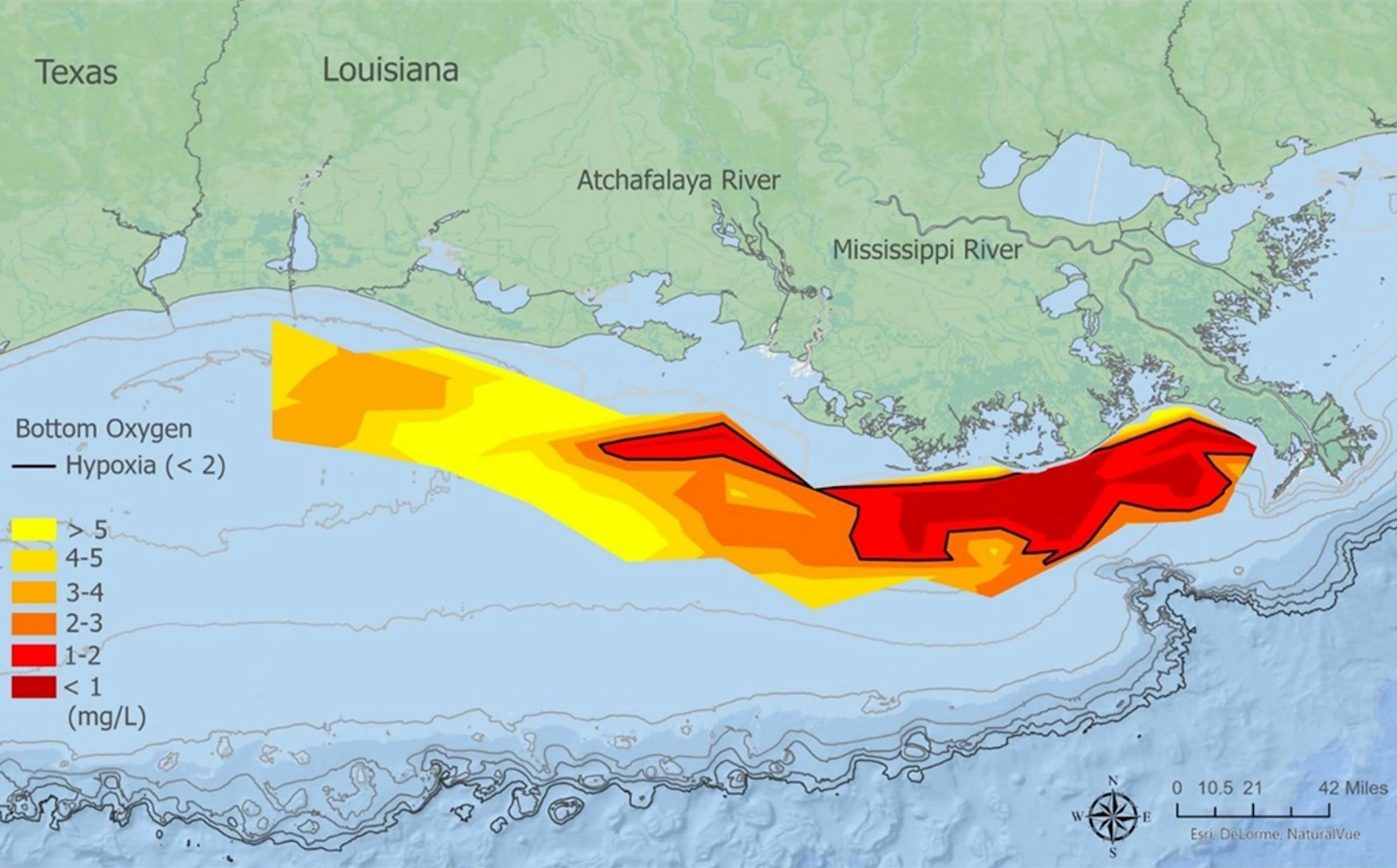 Gulf of Mexico 'dead zone' smaller than expected, still covers more ...