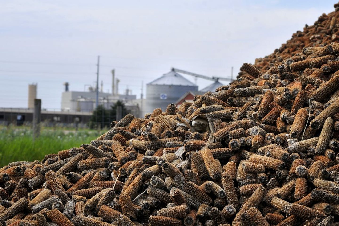 Ramstad: The debate over ethanol’s future stalls push for less-harmful ...
