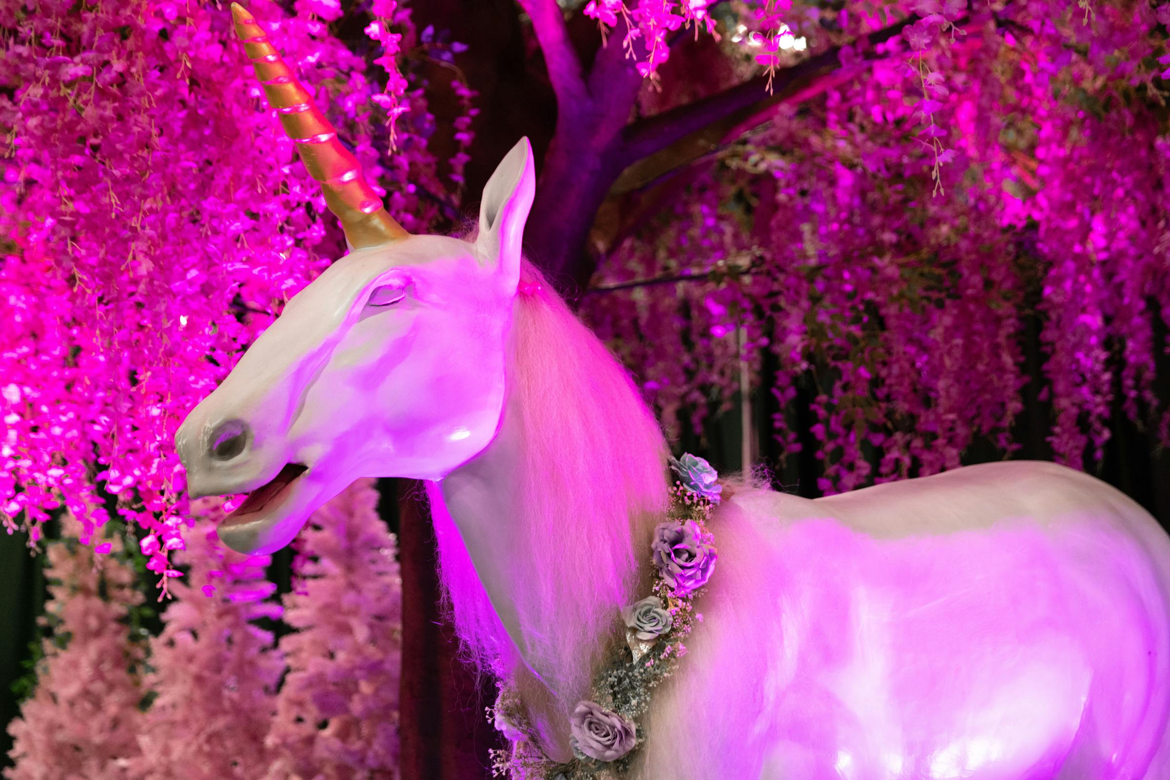Review: At Unicorn World, in Minneapolis this weekend, fun is over-the ...